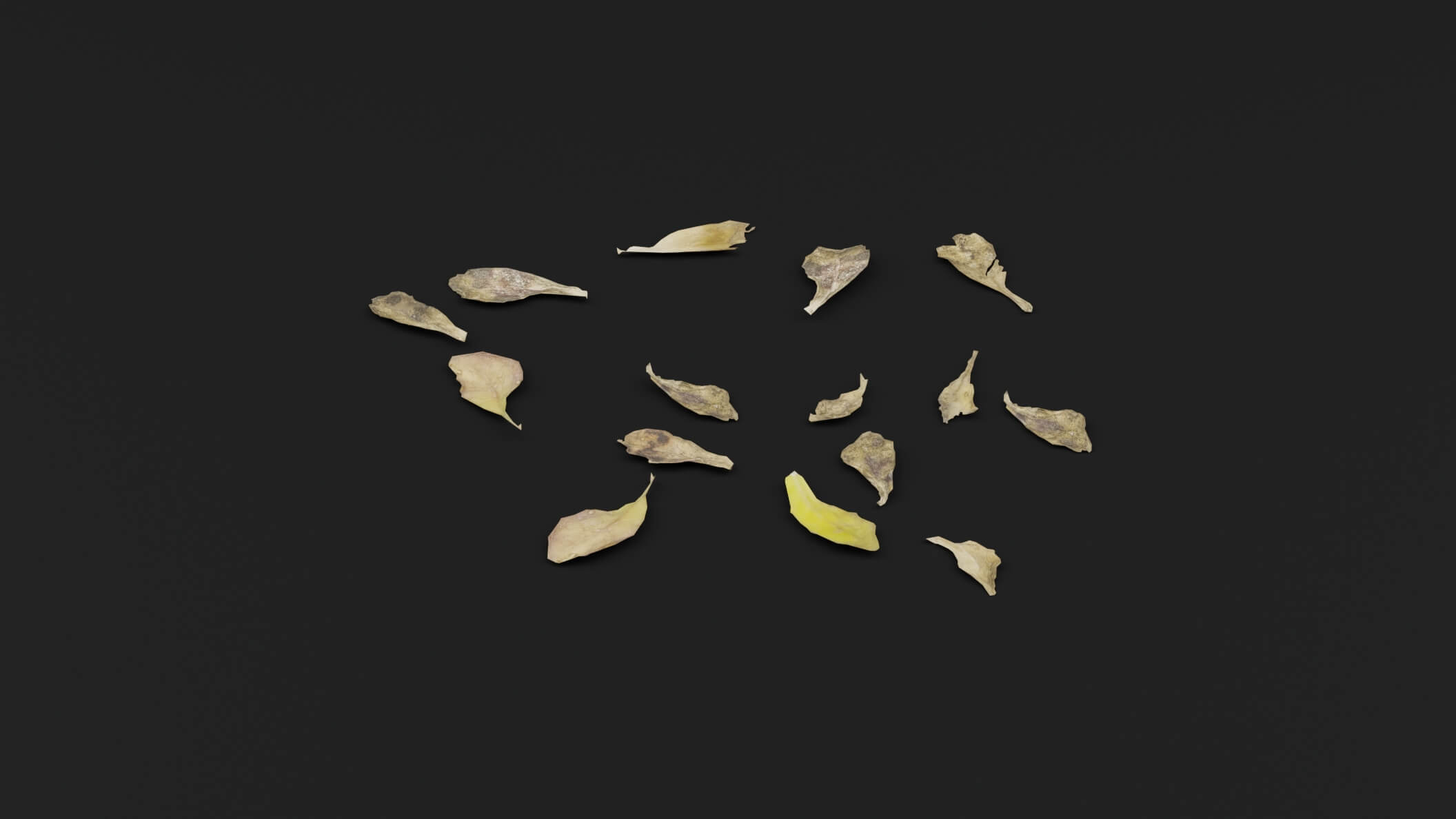 Ground Cover Leaves - 3D Model by Green Lander
