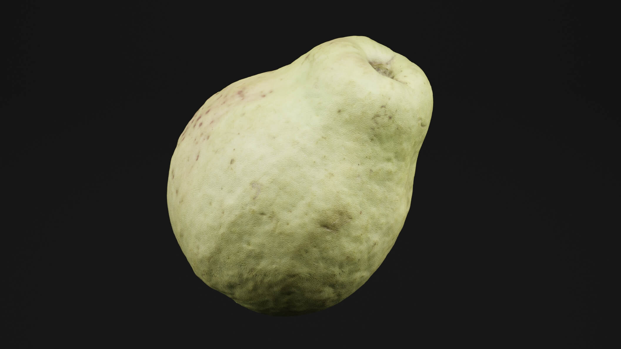 Tropical Guava Fruit - 3D Model by Green Lander