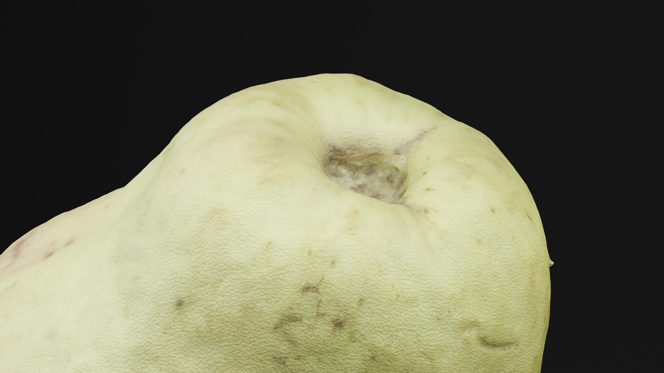 Tropical Guava Fruit - 3D Model by Green Lander