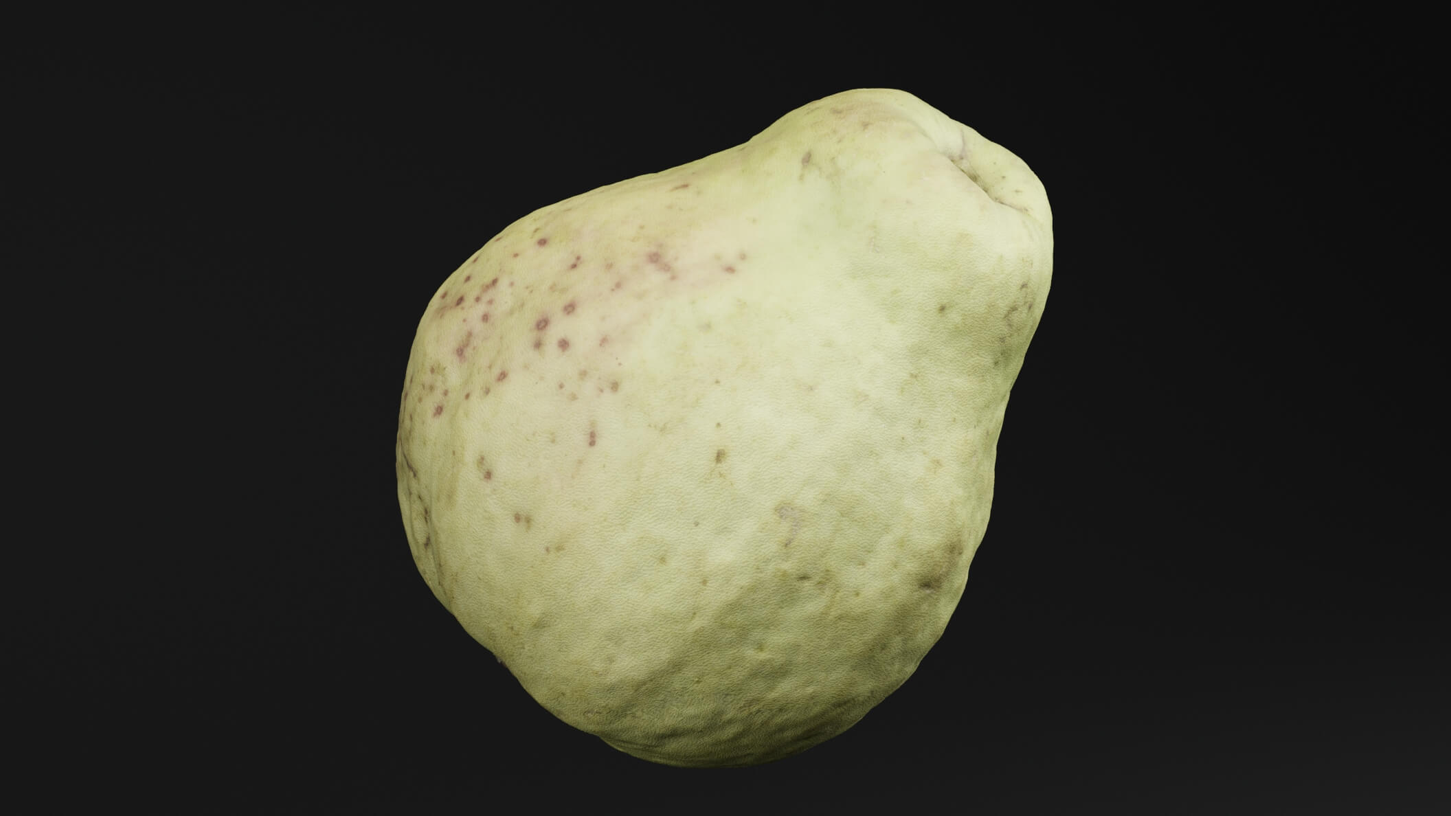 Tropical Guava Fruit - 3D Model by Green Lander