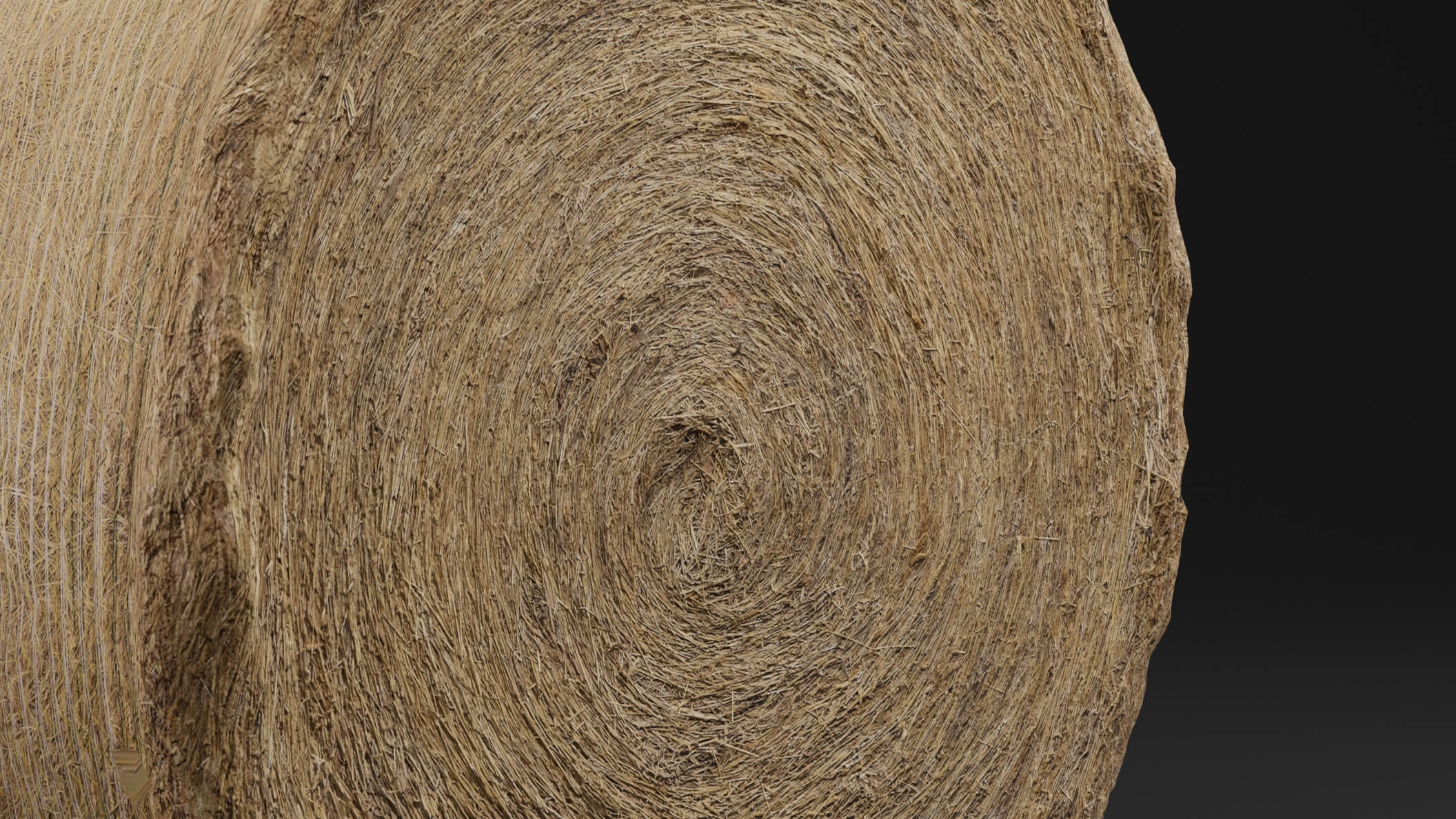 Realistic Hay Bale - 3D Model by Green Lander