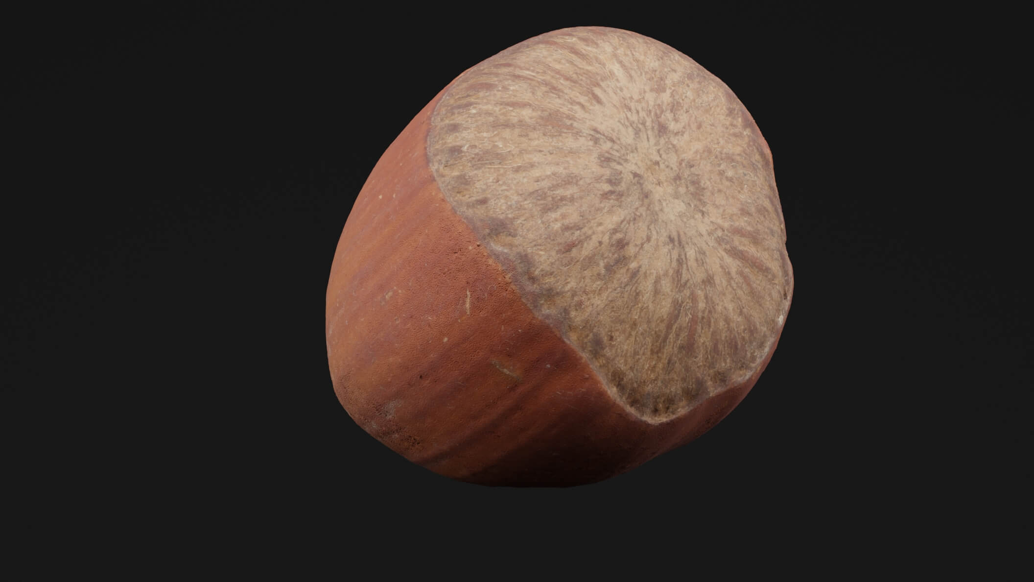 Hazelnut Nuts - 3D Model by Green Lander