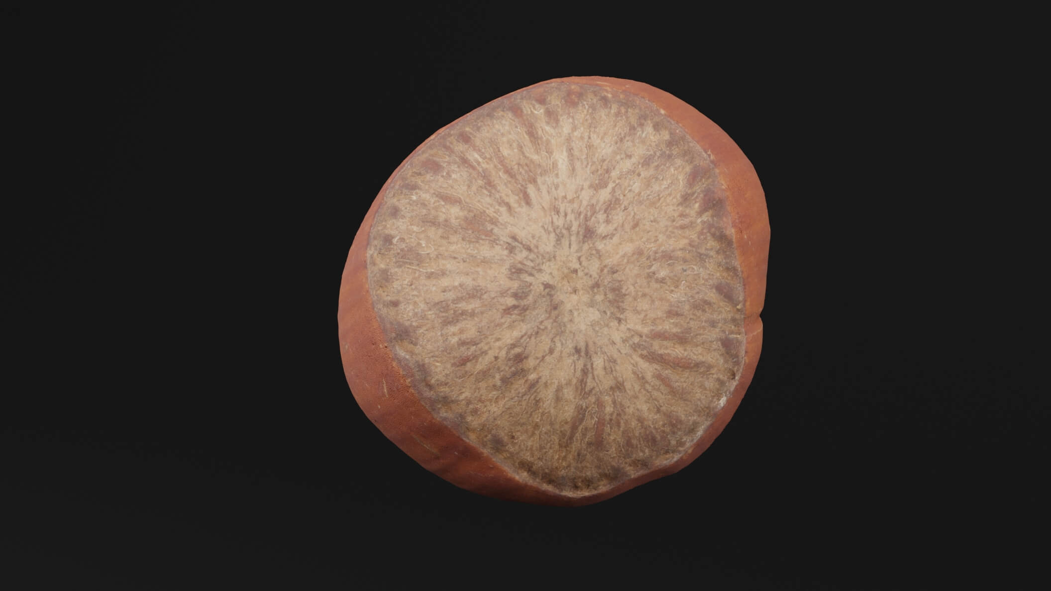 Hazelnut Nuts - 3D Model by Green Lander