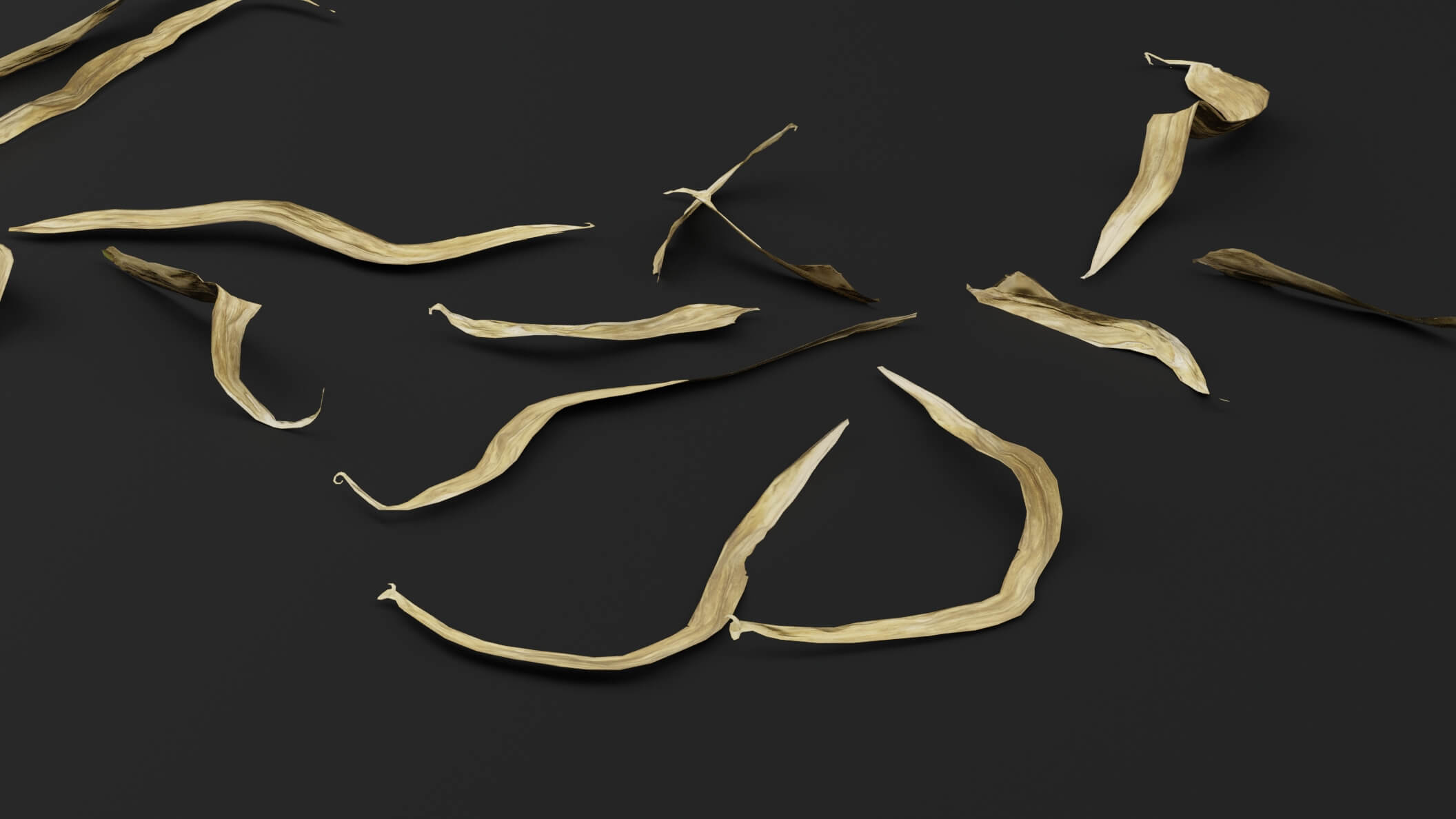 Jungle Ginger Plant - 3D Model by Green Lander