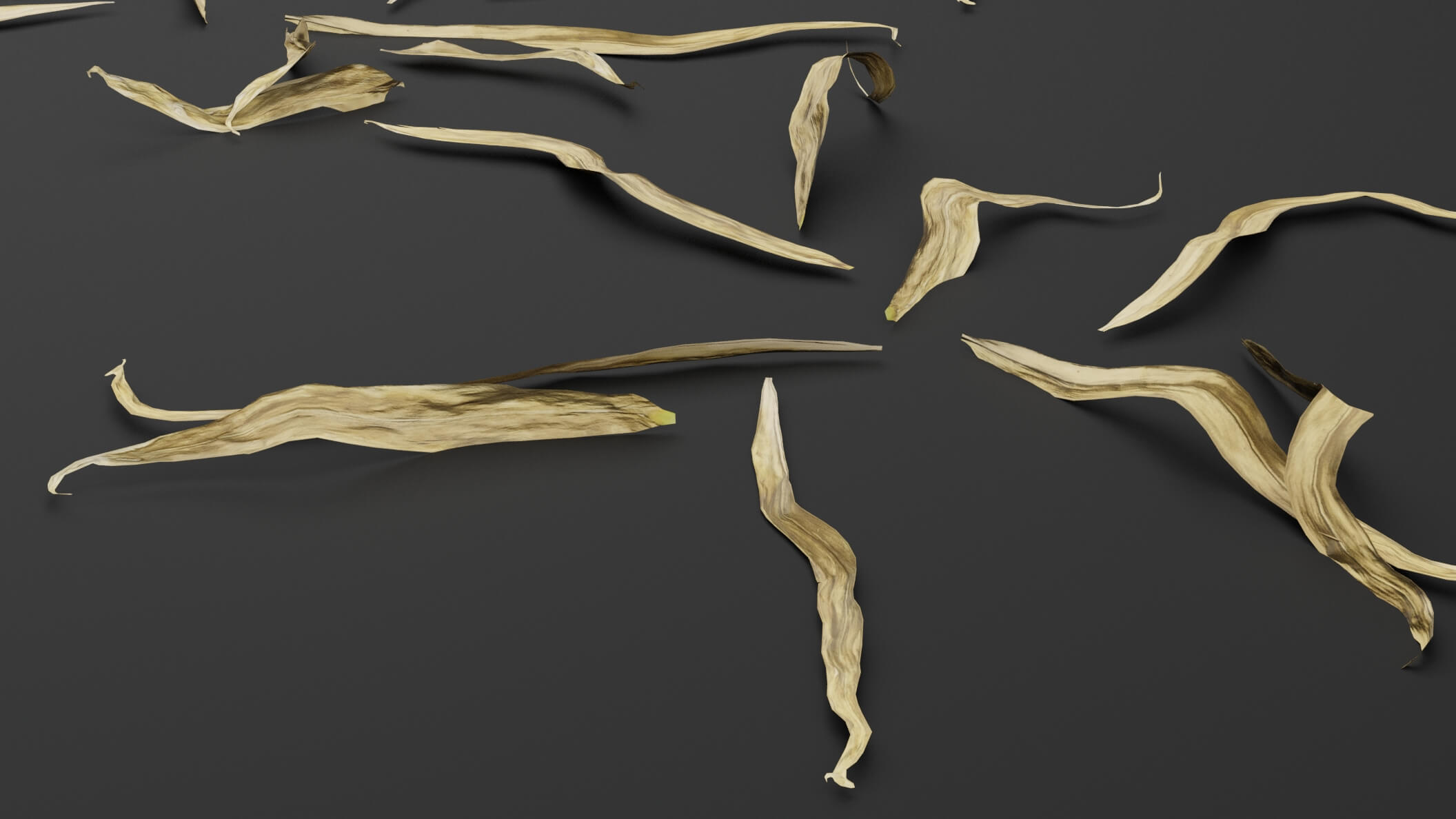 Jungle Ginger Plant - 3D Model by Green Lander