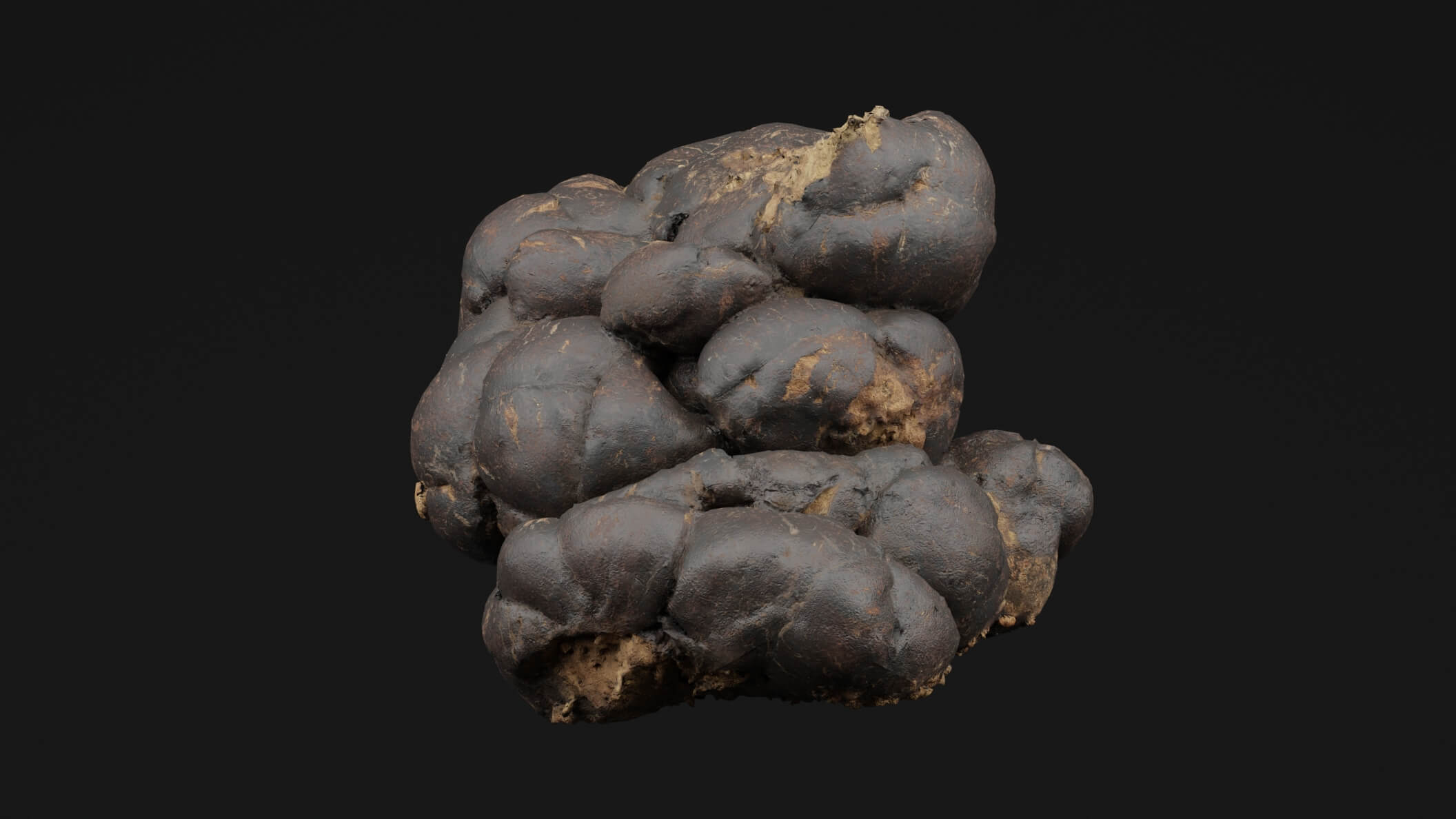 Animal Manure - 3D Model by Green Lander