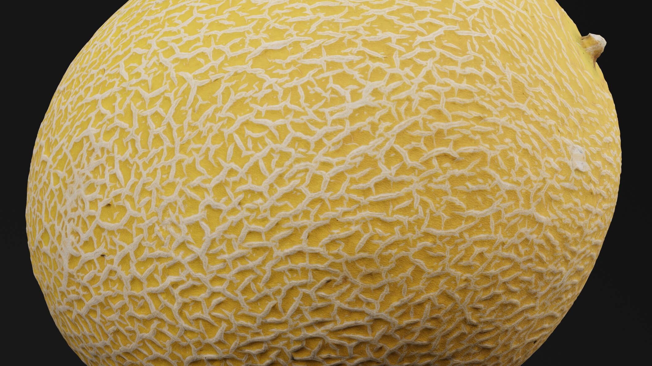 Realistic Melon Fruit - 3D Model by Green Lander