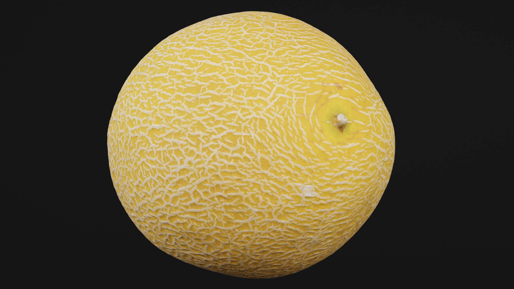 Realistic Melon Fruit - 3D Model by Green Lander