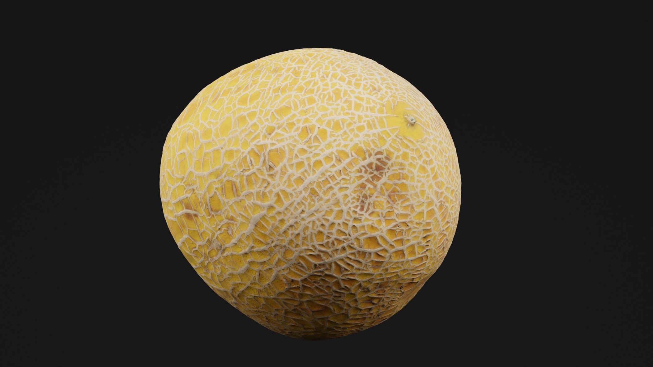 Tropical Melon Fruit - 3D Model by Green Lander