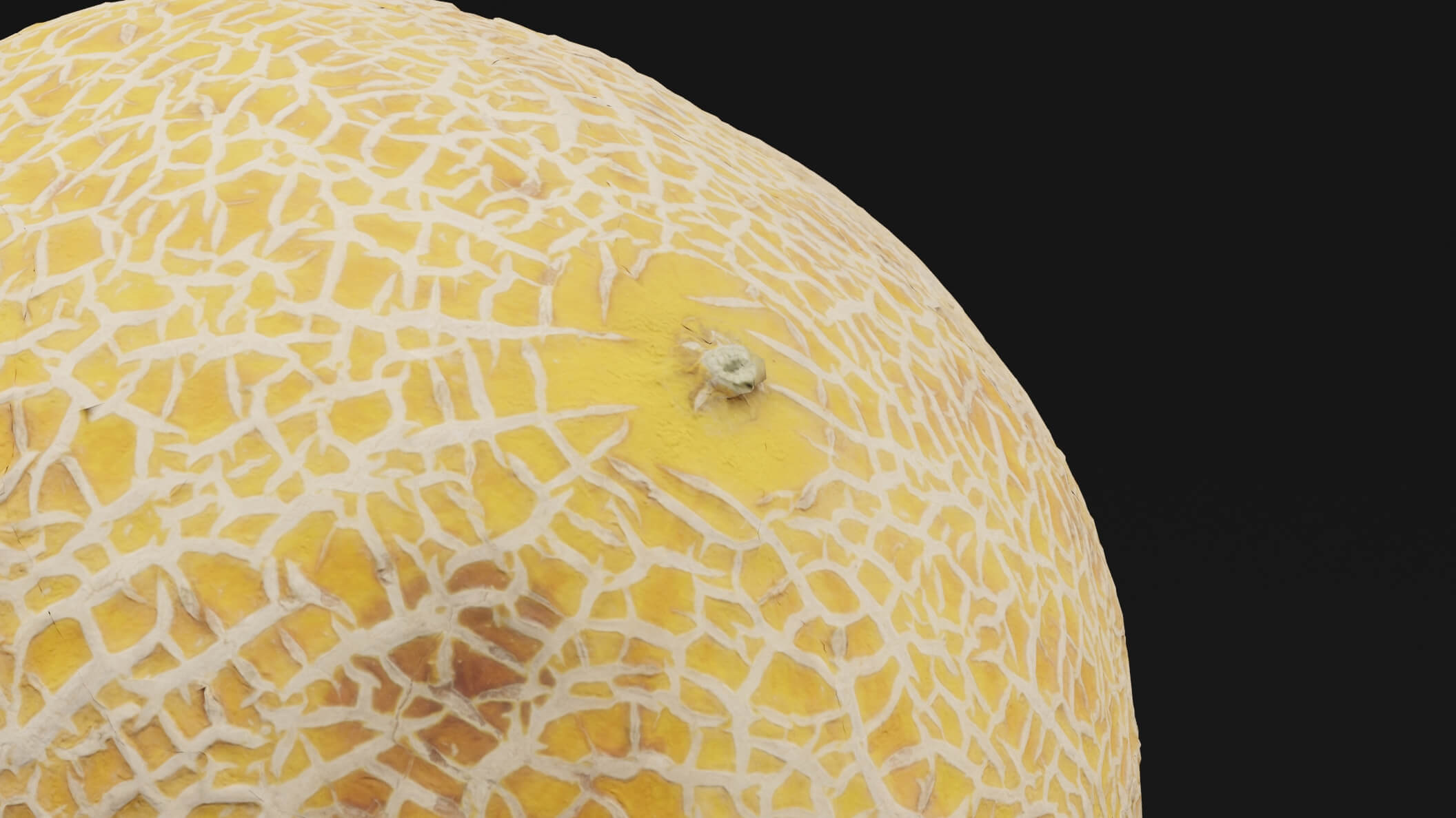 Tropical Melon Fruit - 3D Model by Green Lander