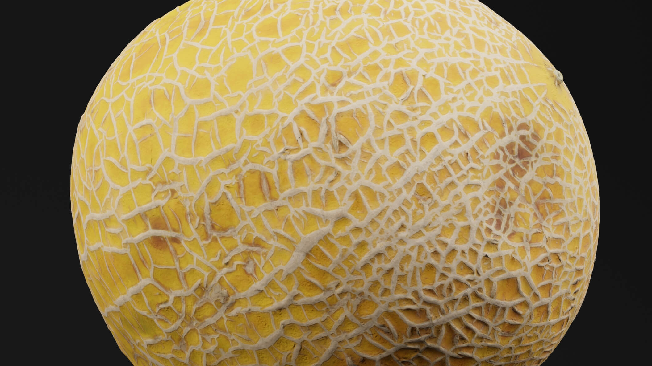 Tropical Melon Fruit - 3D Model by Green Lander