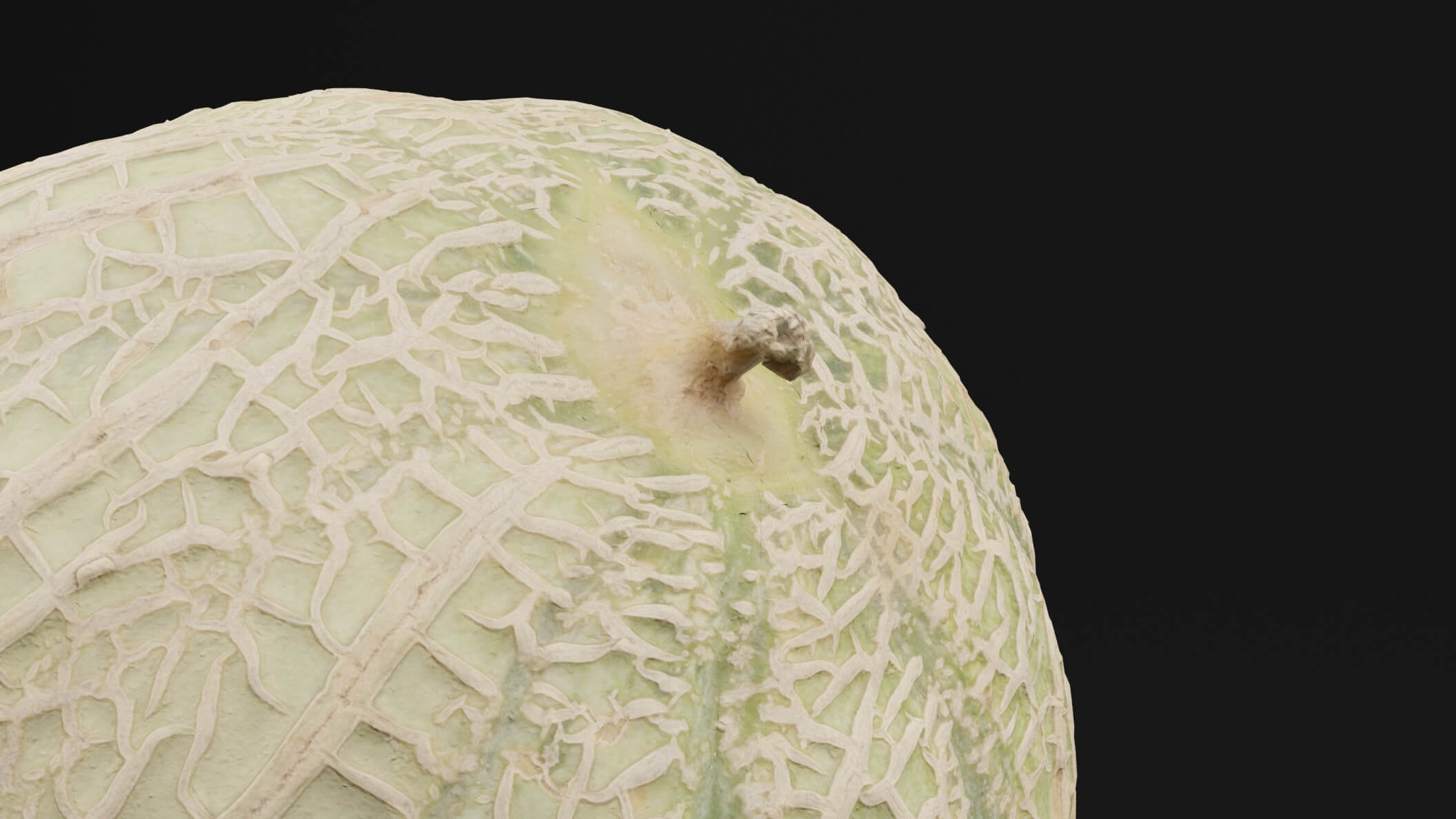 Tropical Melon Fruit - 3D Model by Green Lander