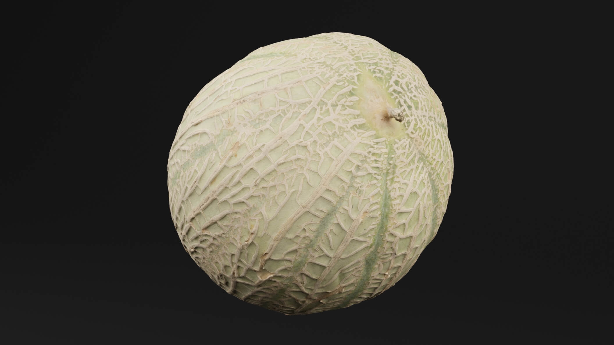 Tropical Melon Fruit - 3D Model by Green Lander