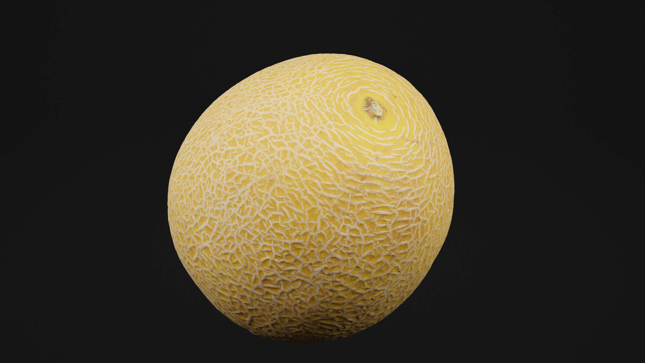 Realistic Melon Fruit - 3D Model by Green Lander