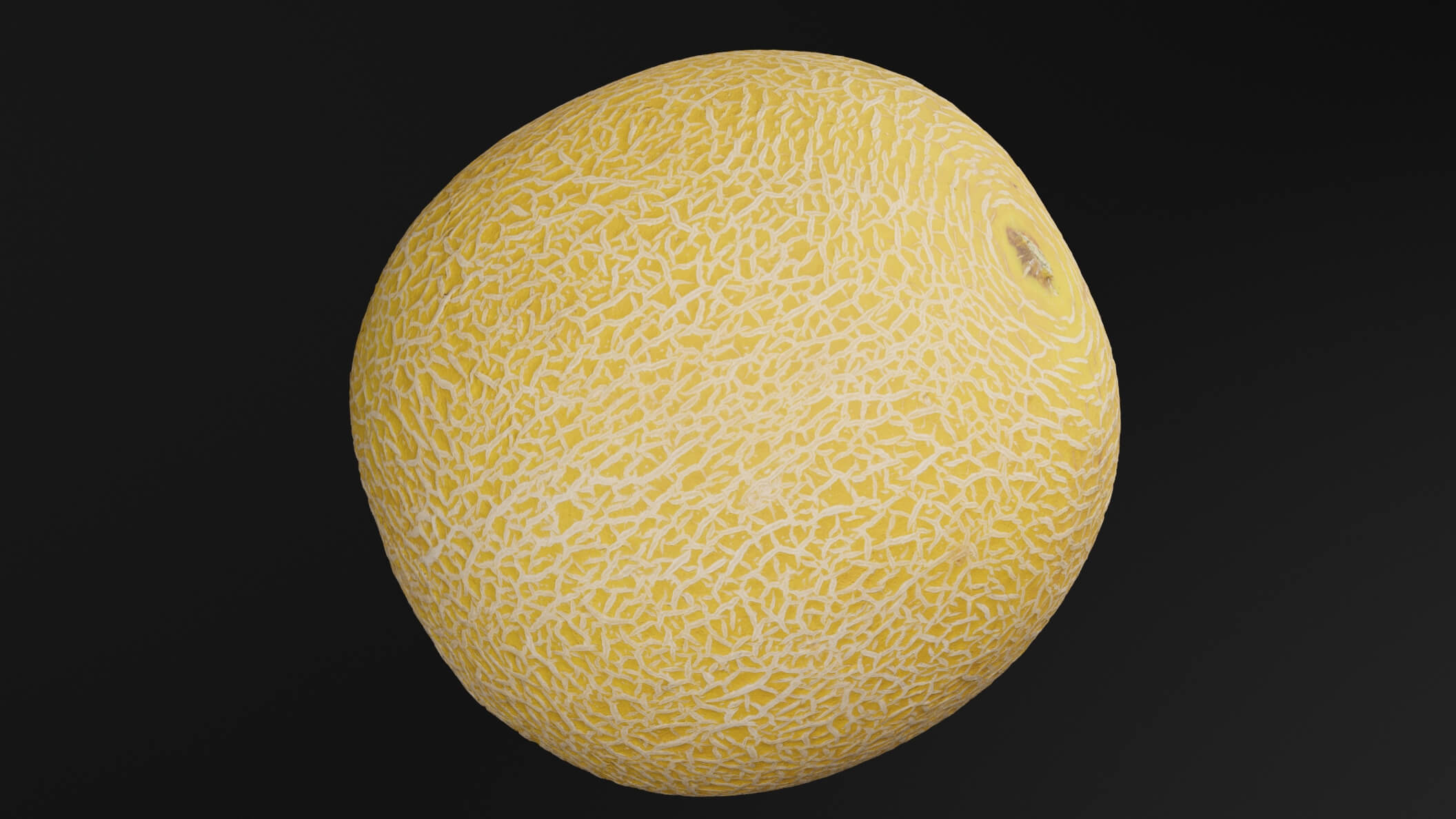 Realistic Melon Fruit - 3D Model by Green Lander