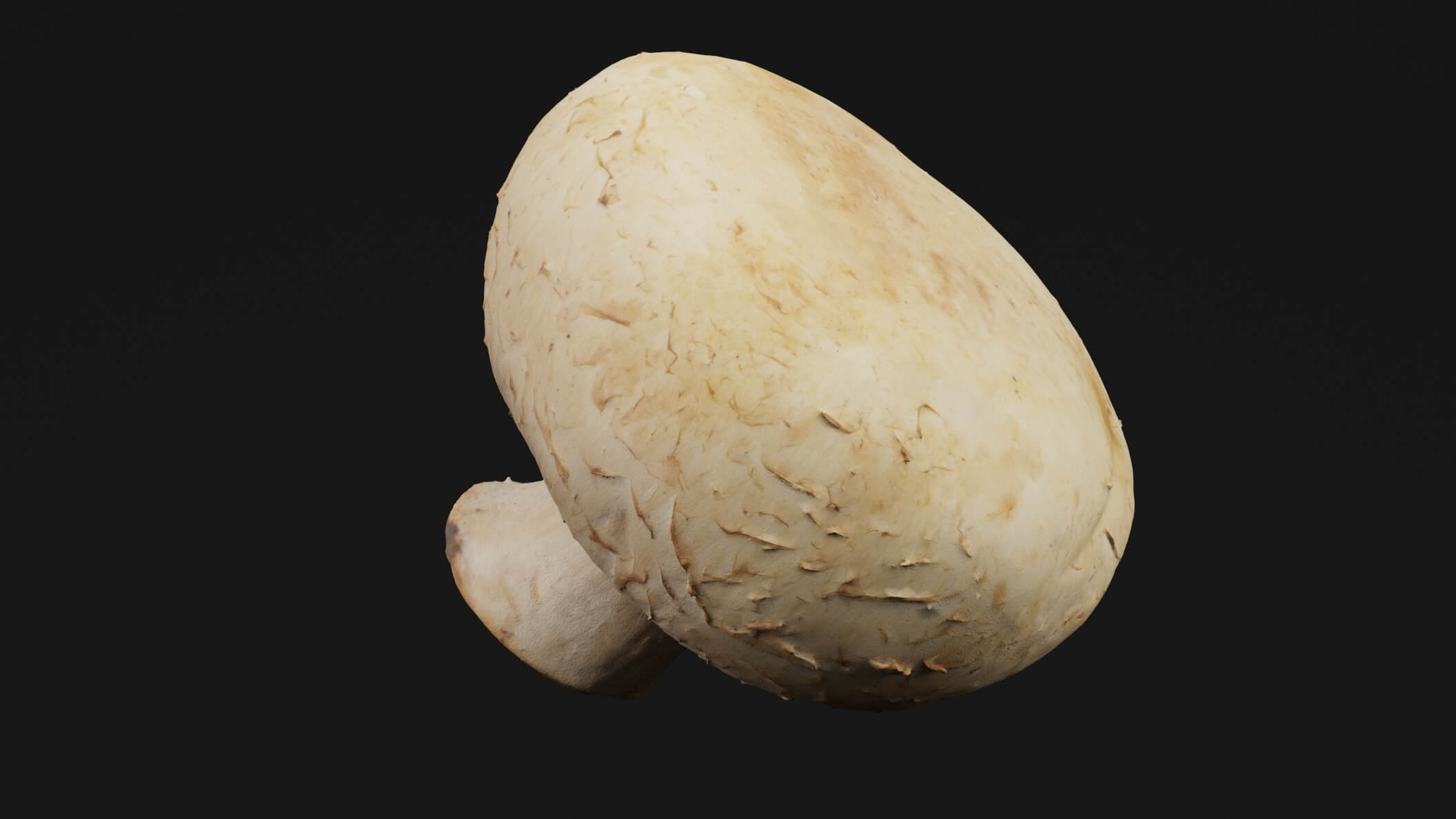 Mushroom Plant - 3D Model by Green Lander