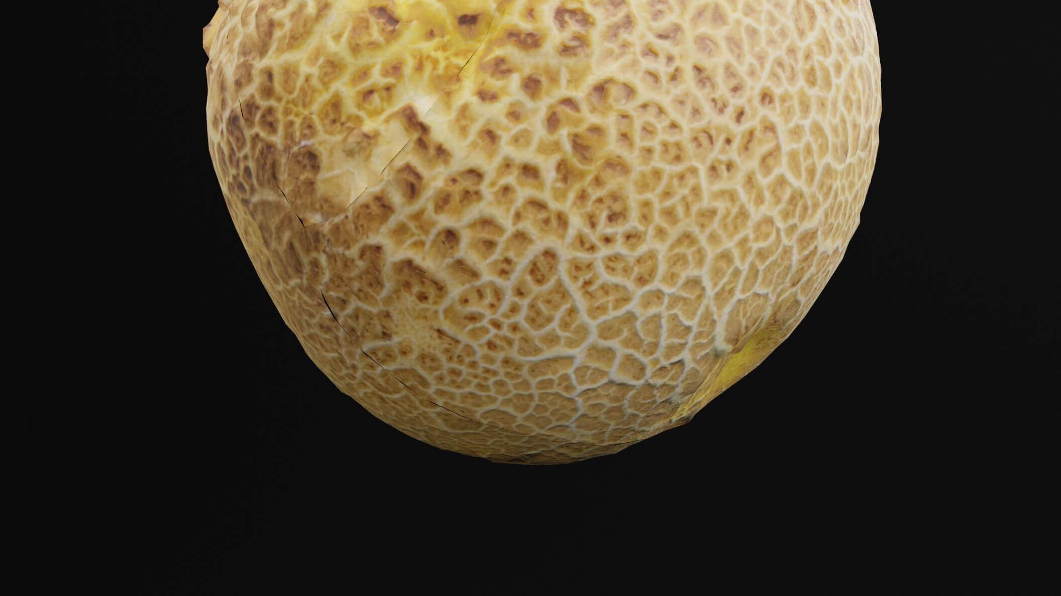Natural Mushroom - 3D Model by Green Lander