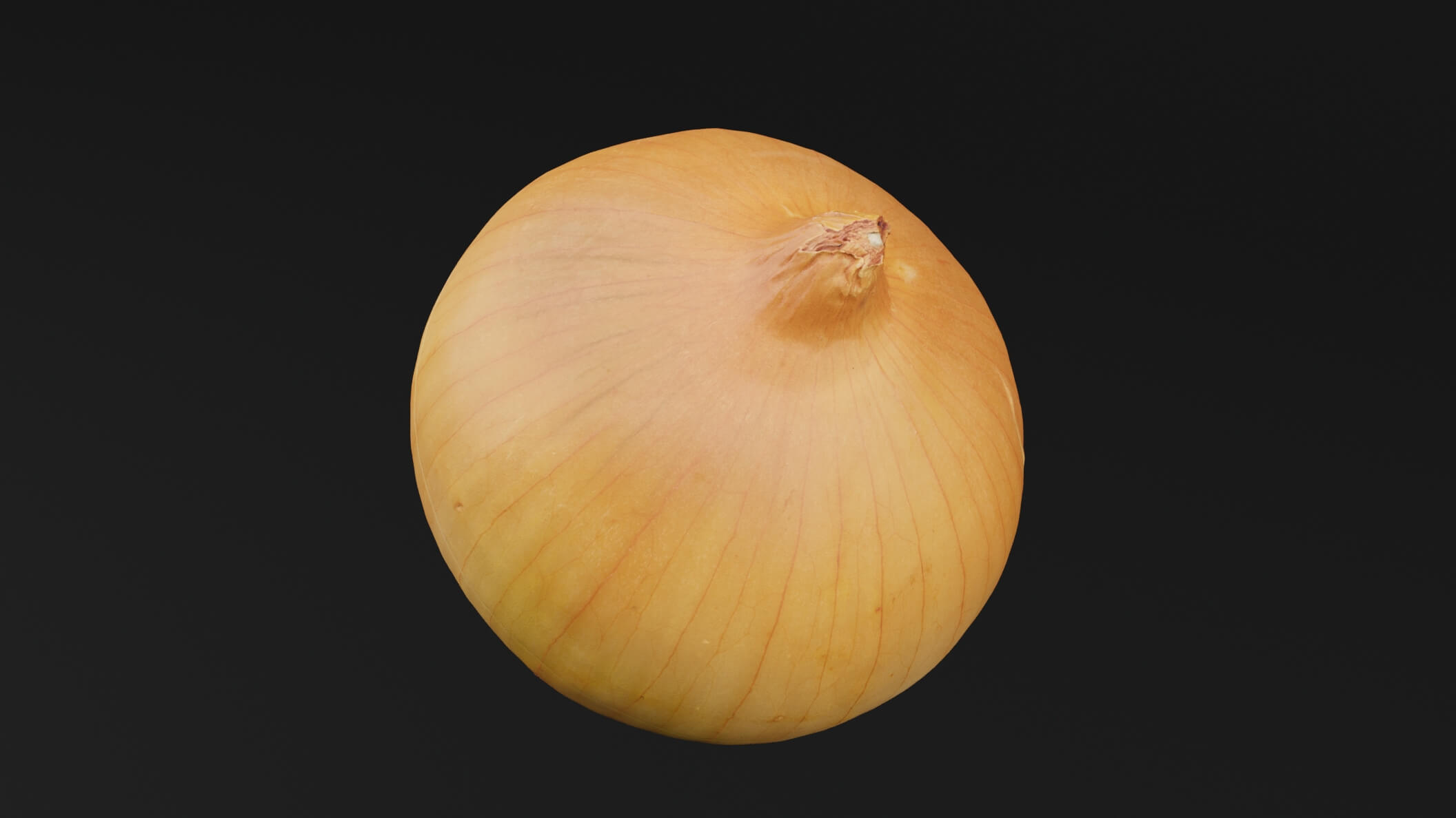Onion Vegetable - 3D Model by Green Lander