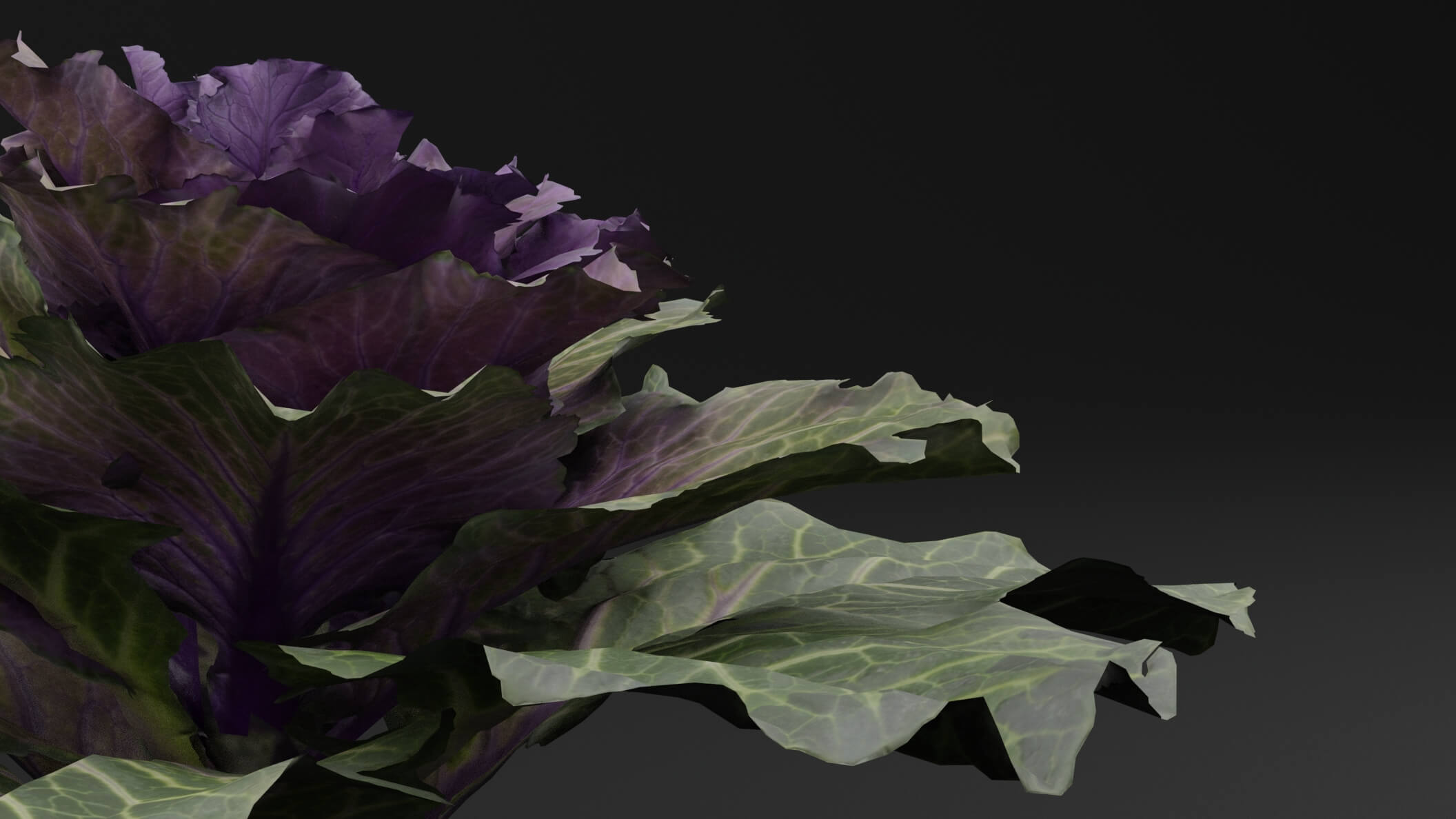 Ornamental Kale Plant - 3D Model by Green Lander