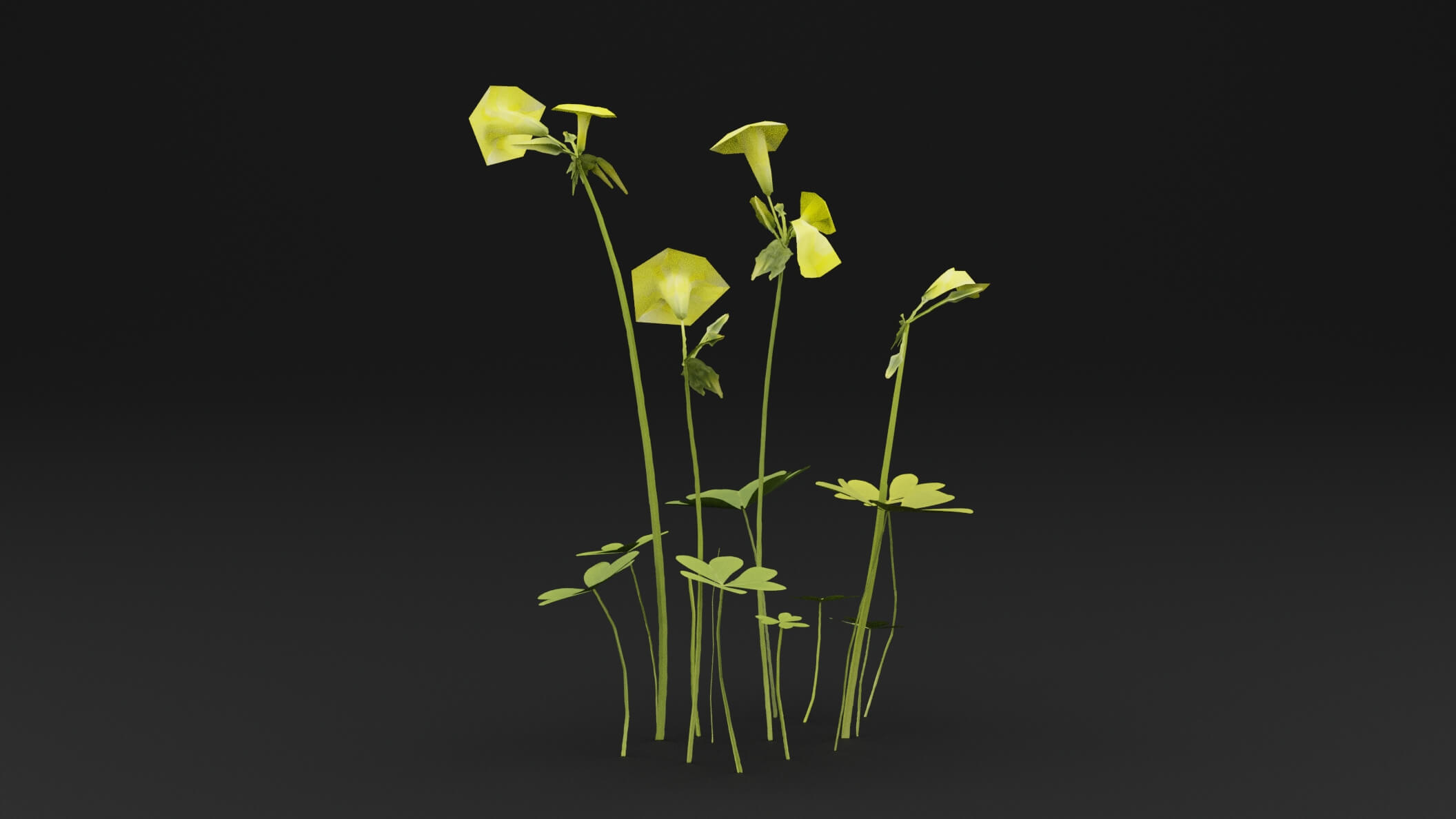 Oxalis Pes-Caprae Plant 3D Model by Green Lander