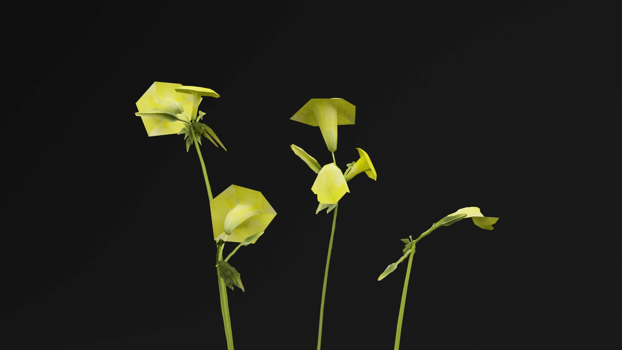 Oxalis Pes-Caprae Plant 3D Model by Green Lander