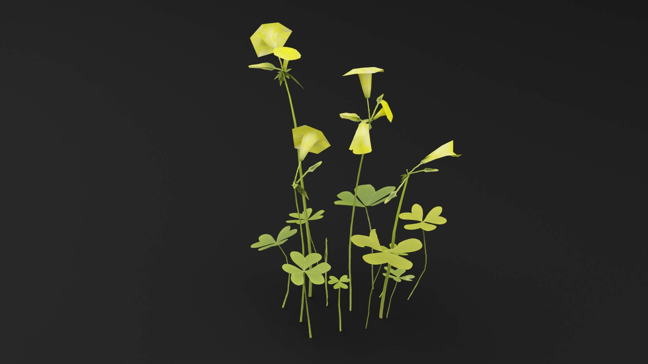 Oxalis Pes-Caprae Plant 3D Model by Green Lander