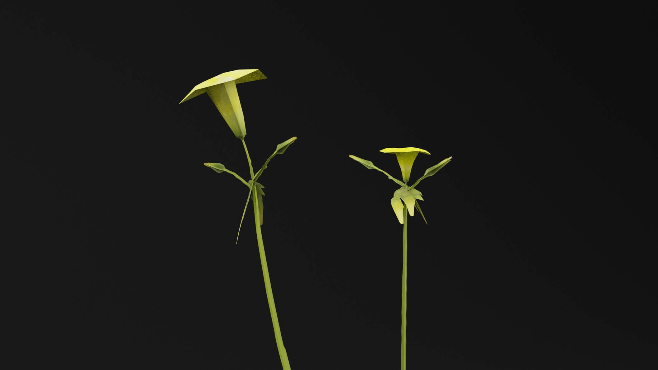 Oxalis Pes-Caprae Plant 3D Model by Green Lander