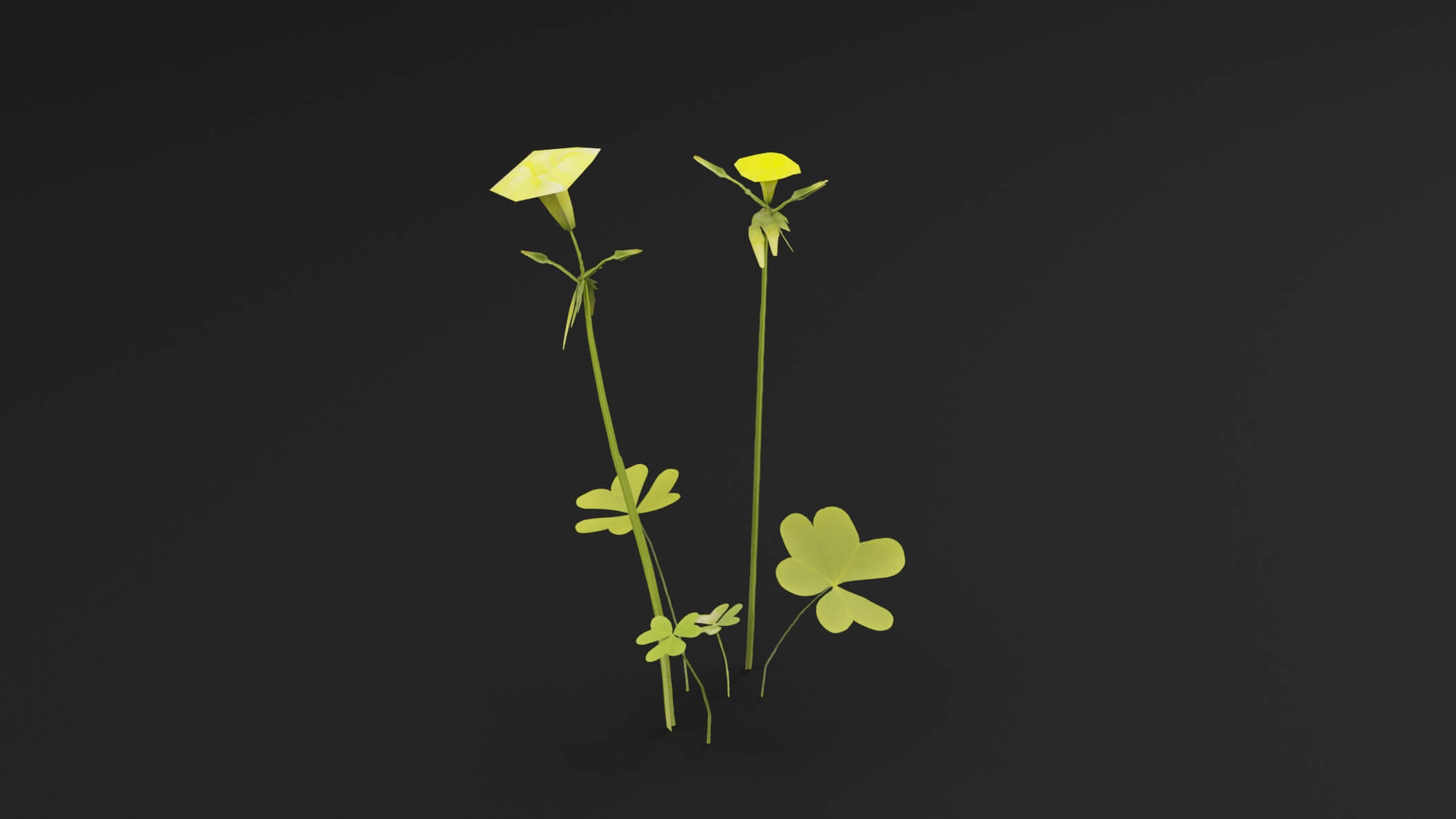 Oxalis Pes-Caprae Plant 3D Model by Green Lander