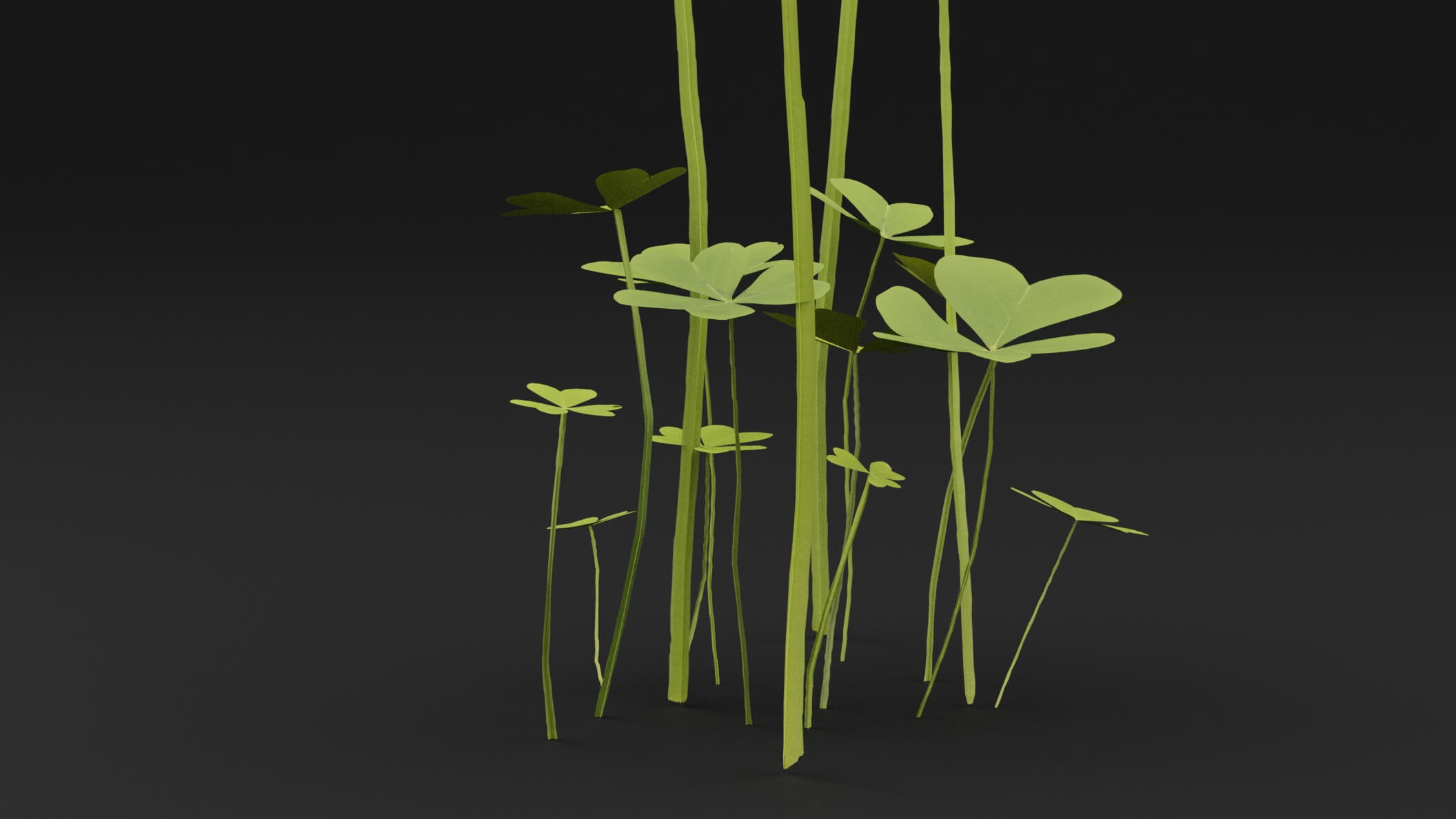 Oxalis Pes-Caprae Plant 3D Model by Green Lander