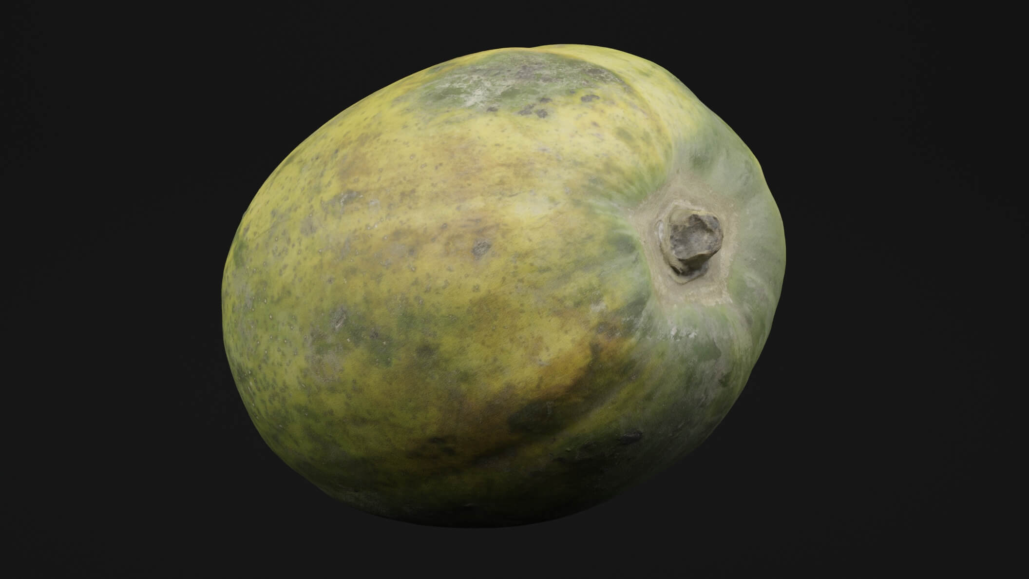 Tropical Papaya Fruit - 3D Model by Green Lander
