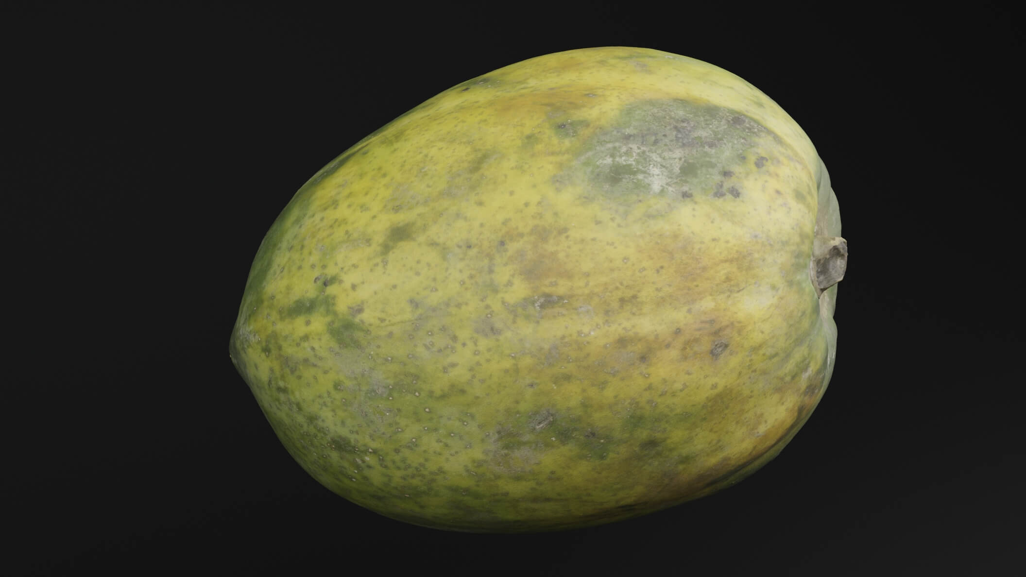 Tropical Papaya Fruit - 3D Model by Green Lander