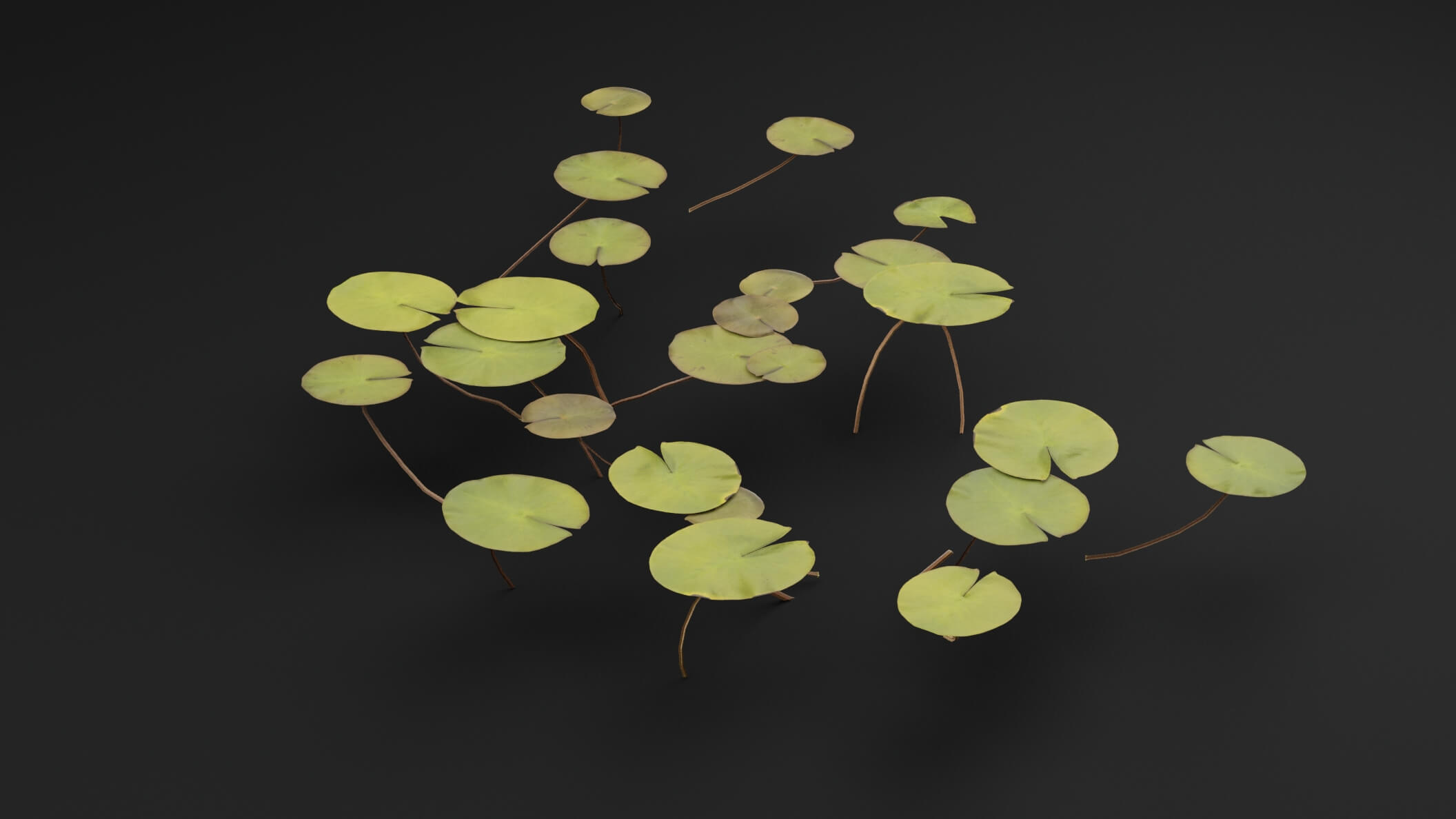 Pink Nymphaea Plant - 3D Model by Green Lander