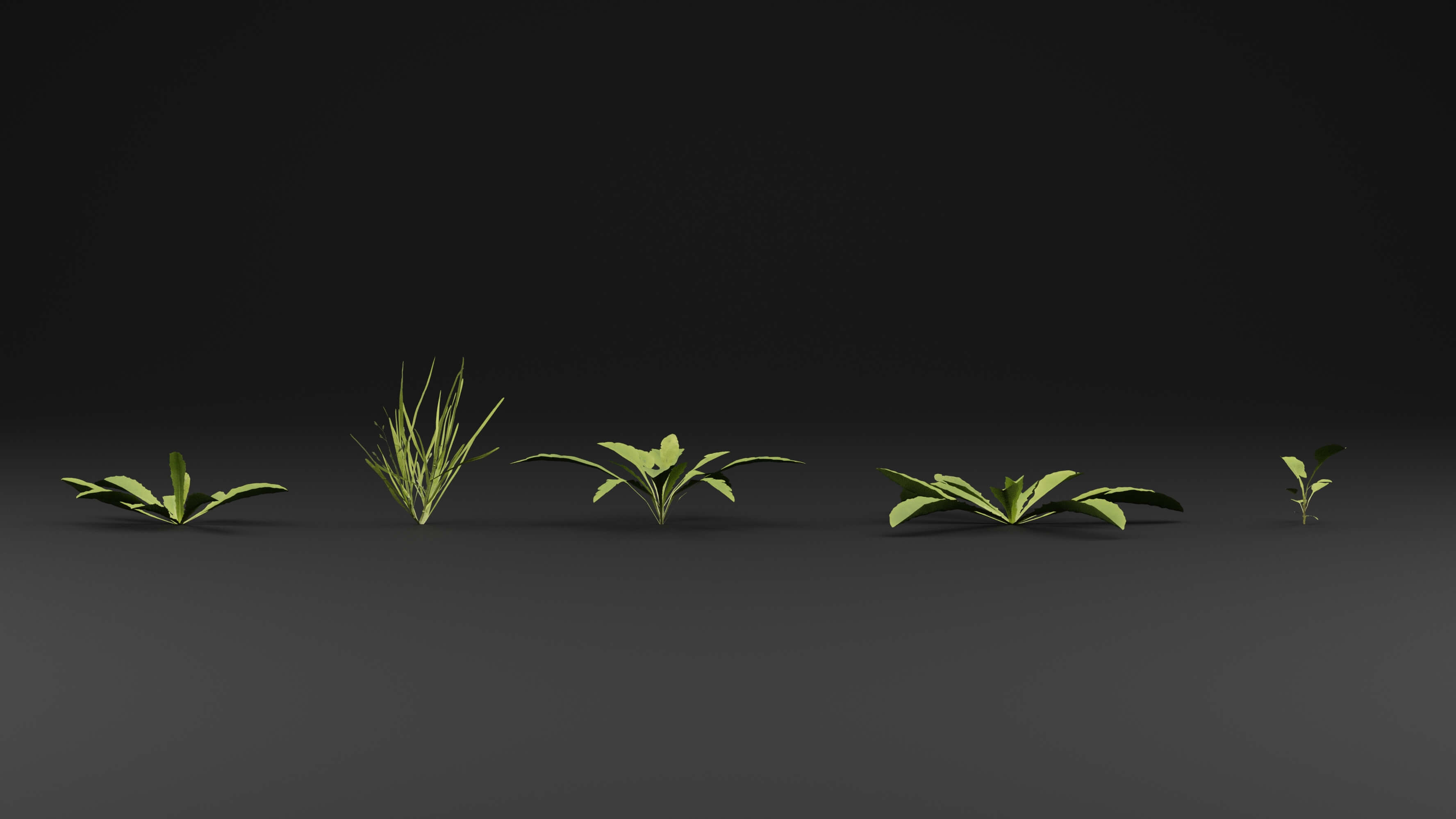 Curbside Weeds Plant - 3D Model by Green Lander