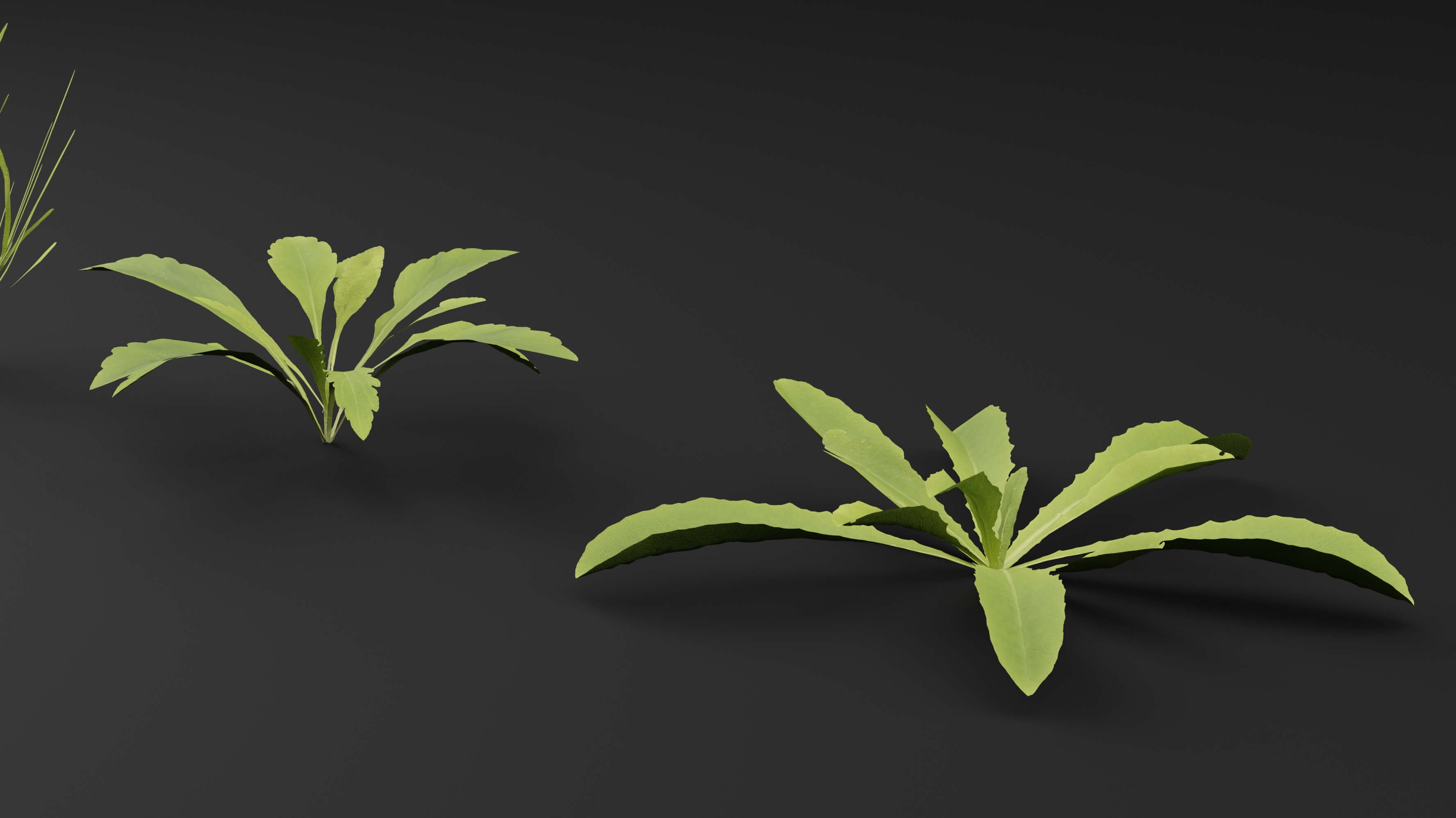 Curbside Weeds Plant - 3D Model by Green Lander