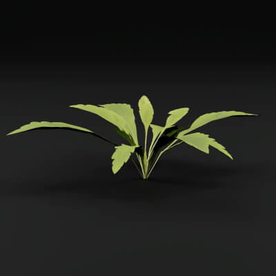 Curbside Weeds Plant - 3D Model by Green Lander