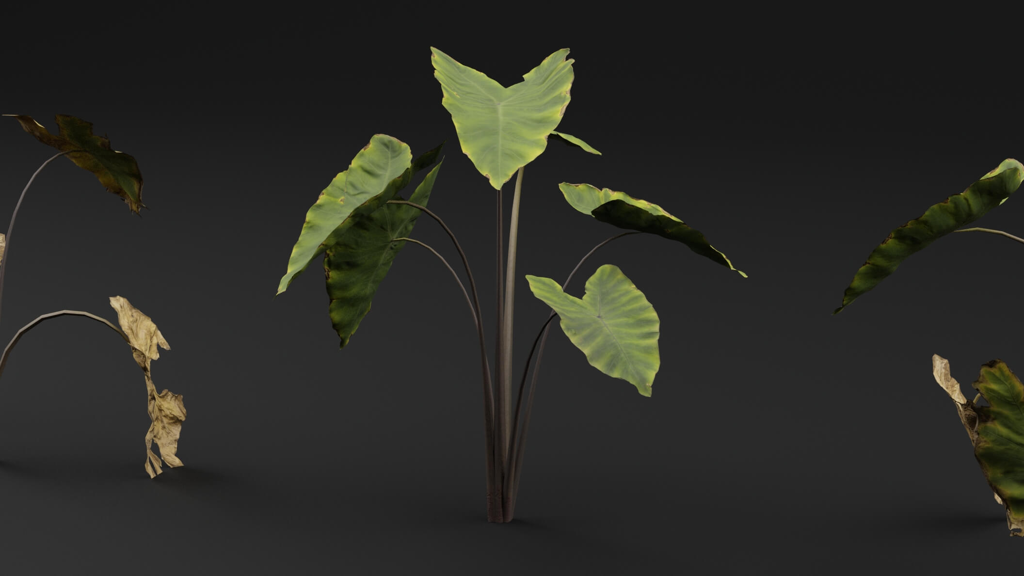 Gölevez Plant - 3D Model by Green Lander