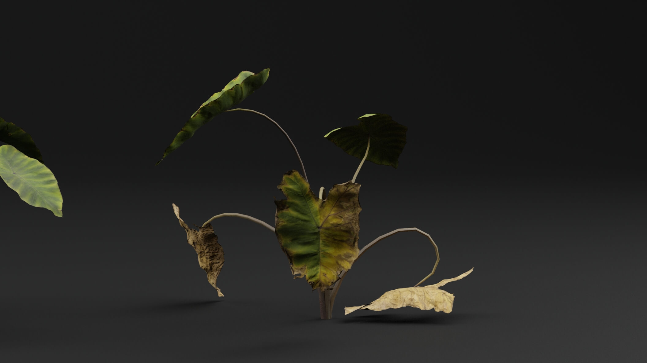 Gölevez Plant - 3D Model by Green Lander