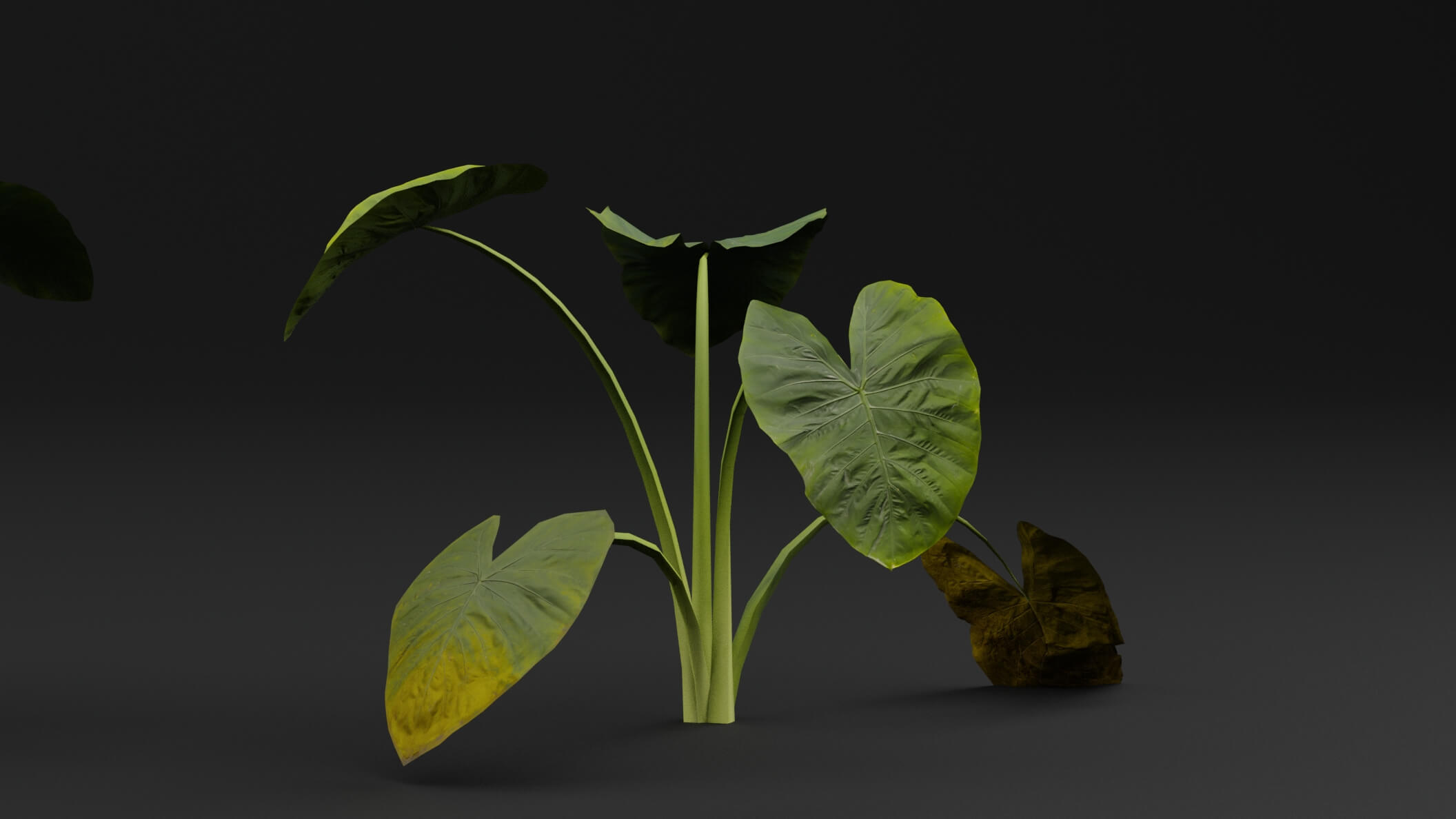 Gölevez Plant - 3D Model by Green Lander