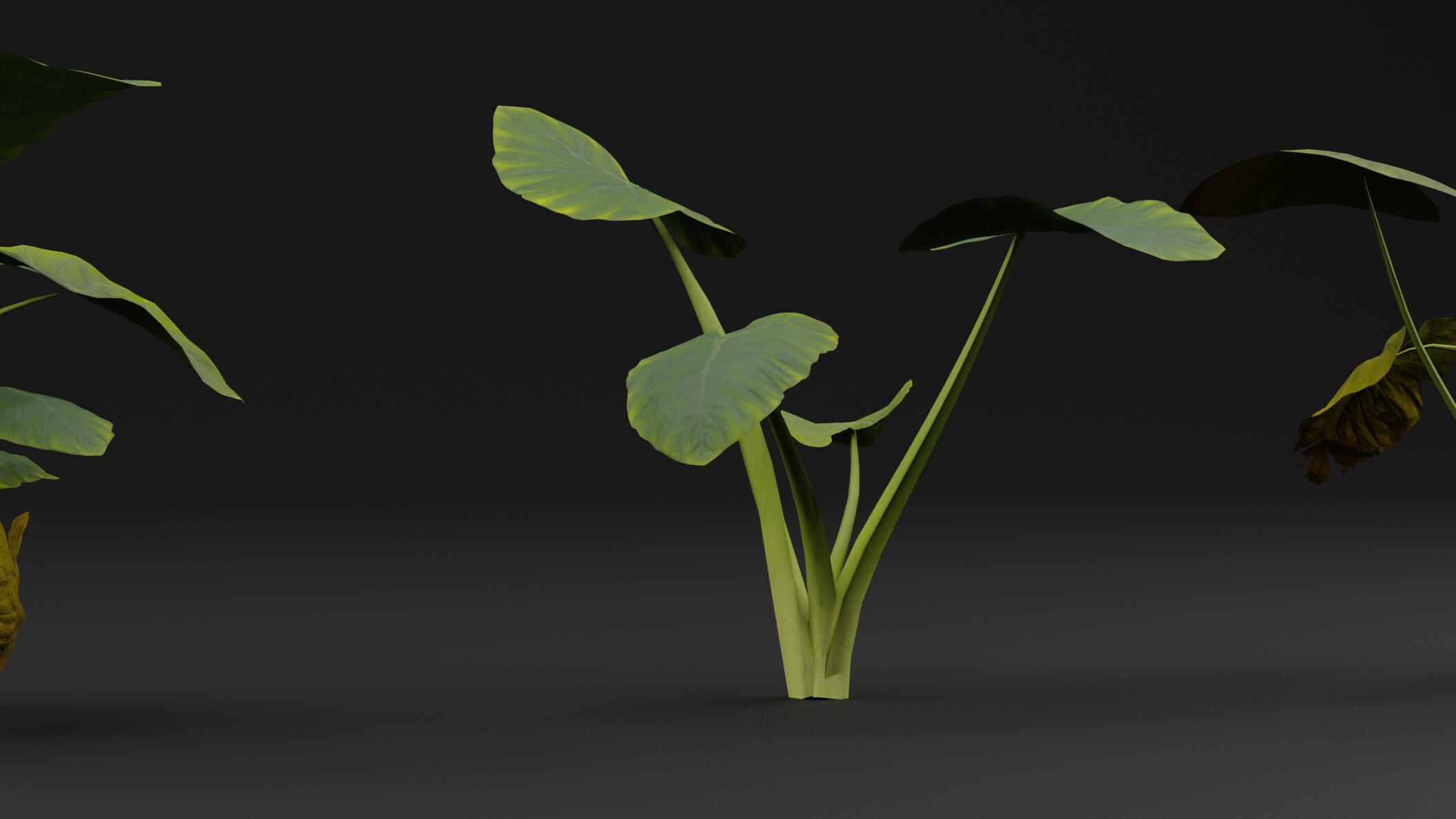 Gölevez Plant - 3D Model by Green Lander