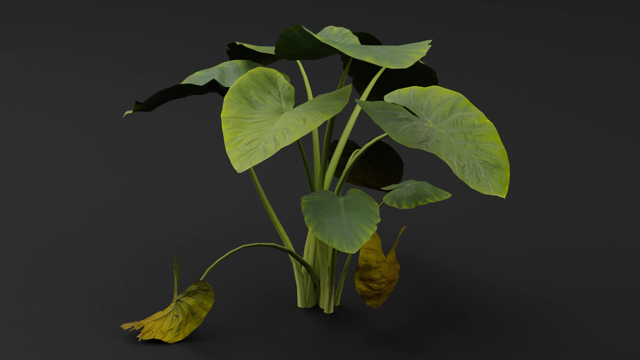 Gölevez Plant - 3D Model by Green Lander