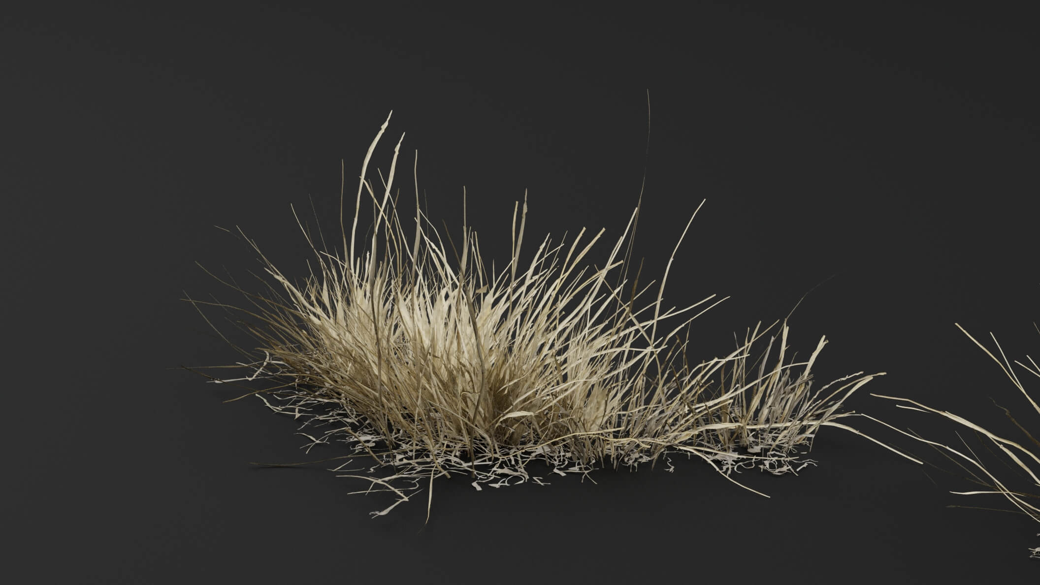 Grass Plants - 3D Model by Green Lander