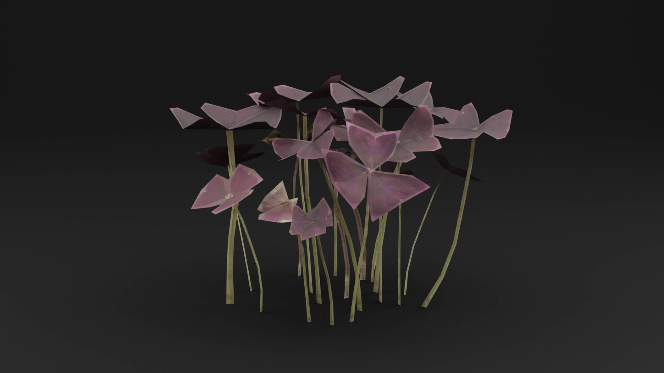 Purple Shamrock Plant - 3D Model by Green Lander