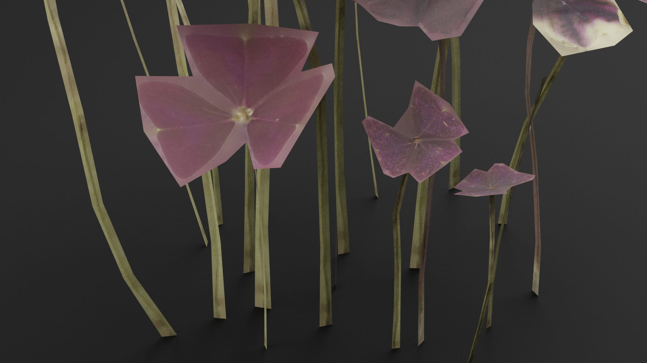 Purple Shamrock Plant - 3D Model by Green Lander