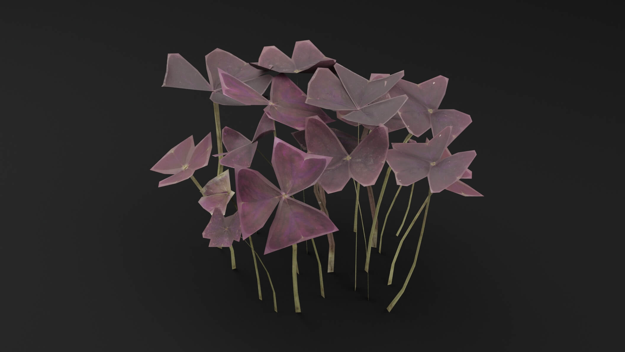 Purple Shamrock Plant - 3D Model by Green Lander