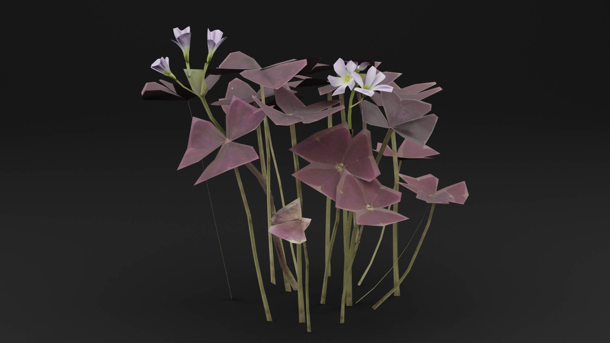 Purple Shamrock Plant - 3D Model by Green Lander