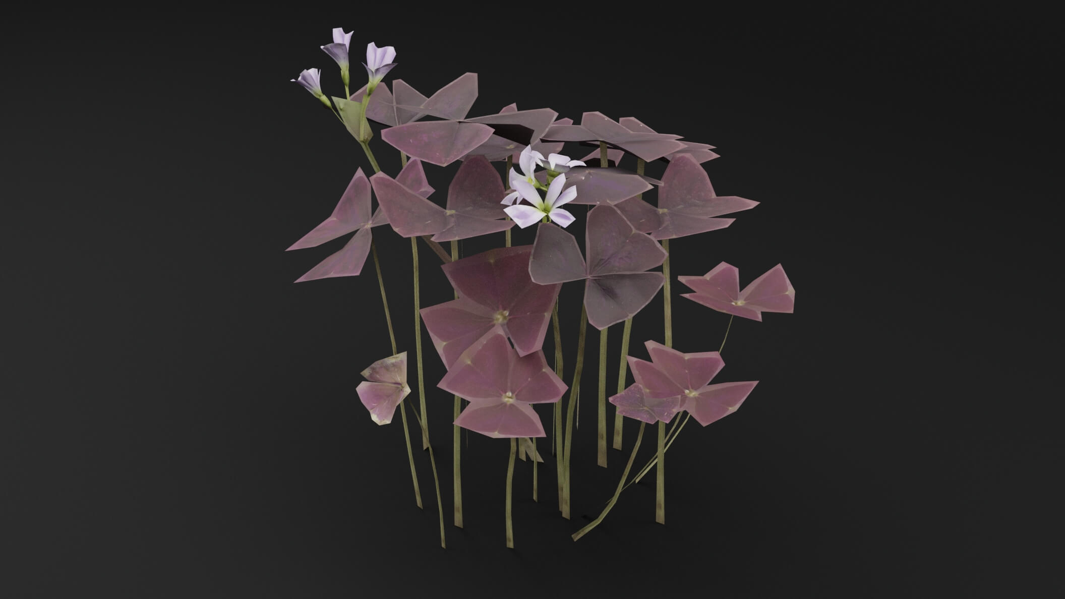 Purple Shamrock Plant - 3D Model by Green Lander