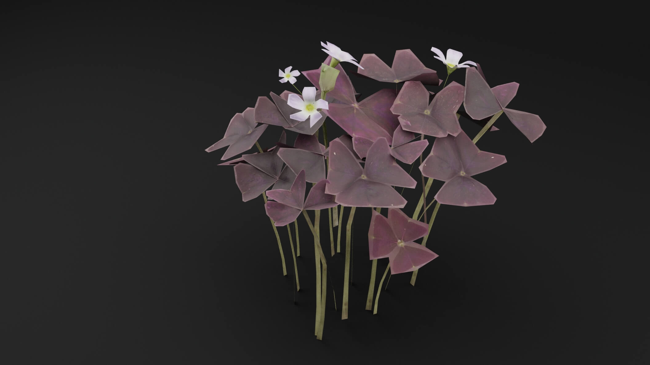 Purple Shamrock Plant - 3D Model by Green Lander
