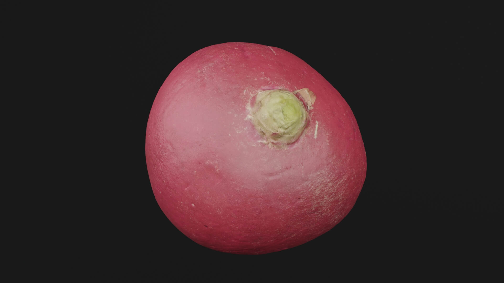 Radish Vegetable - 3D Model by Green Lander