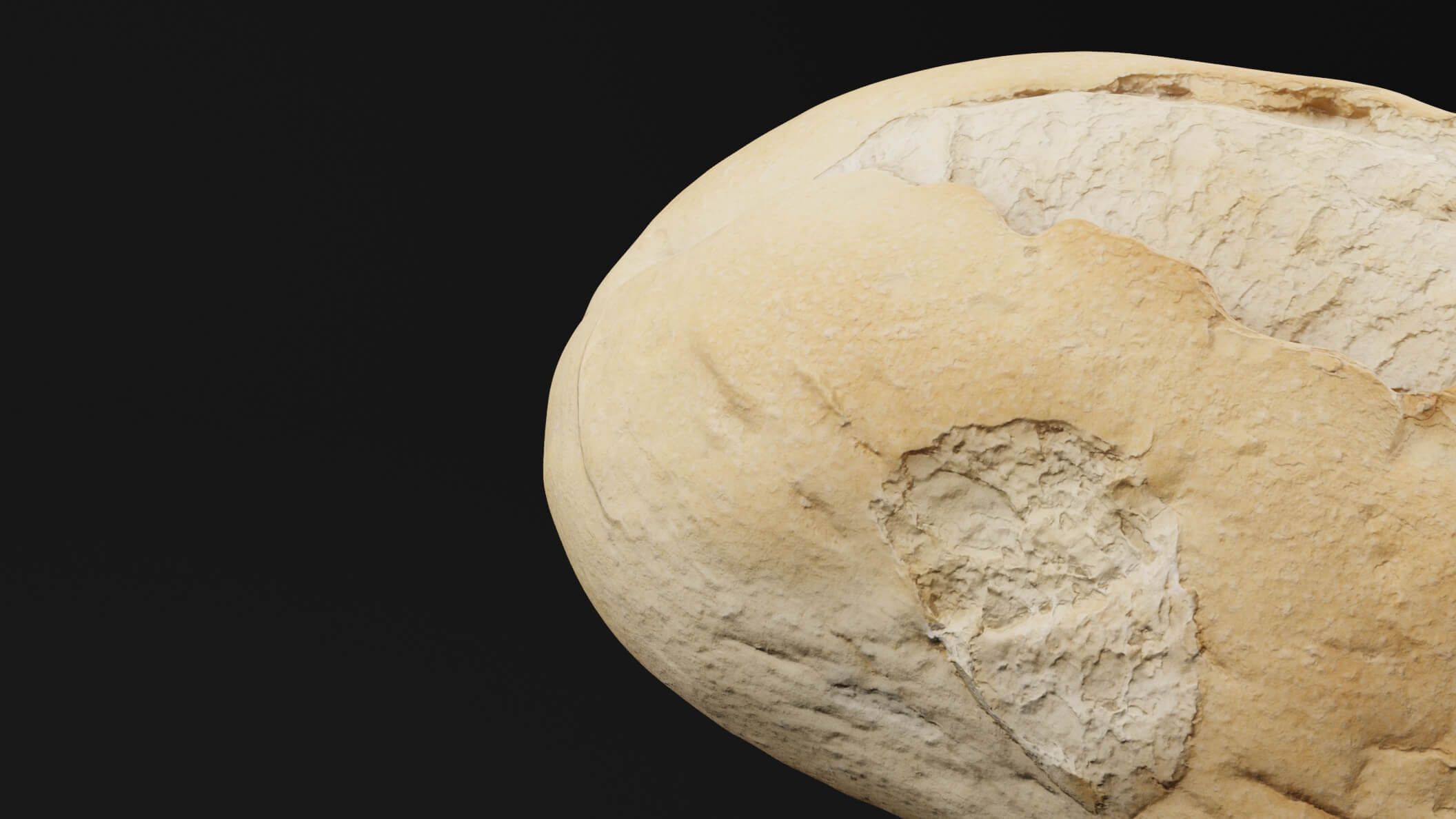 Realistic Bread - 3D Model by Green Lander