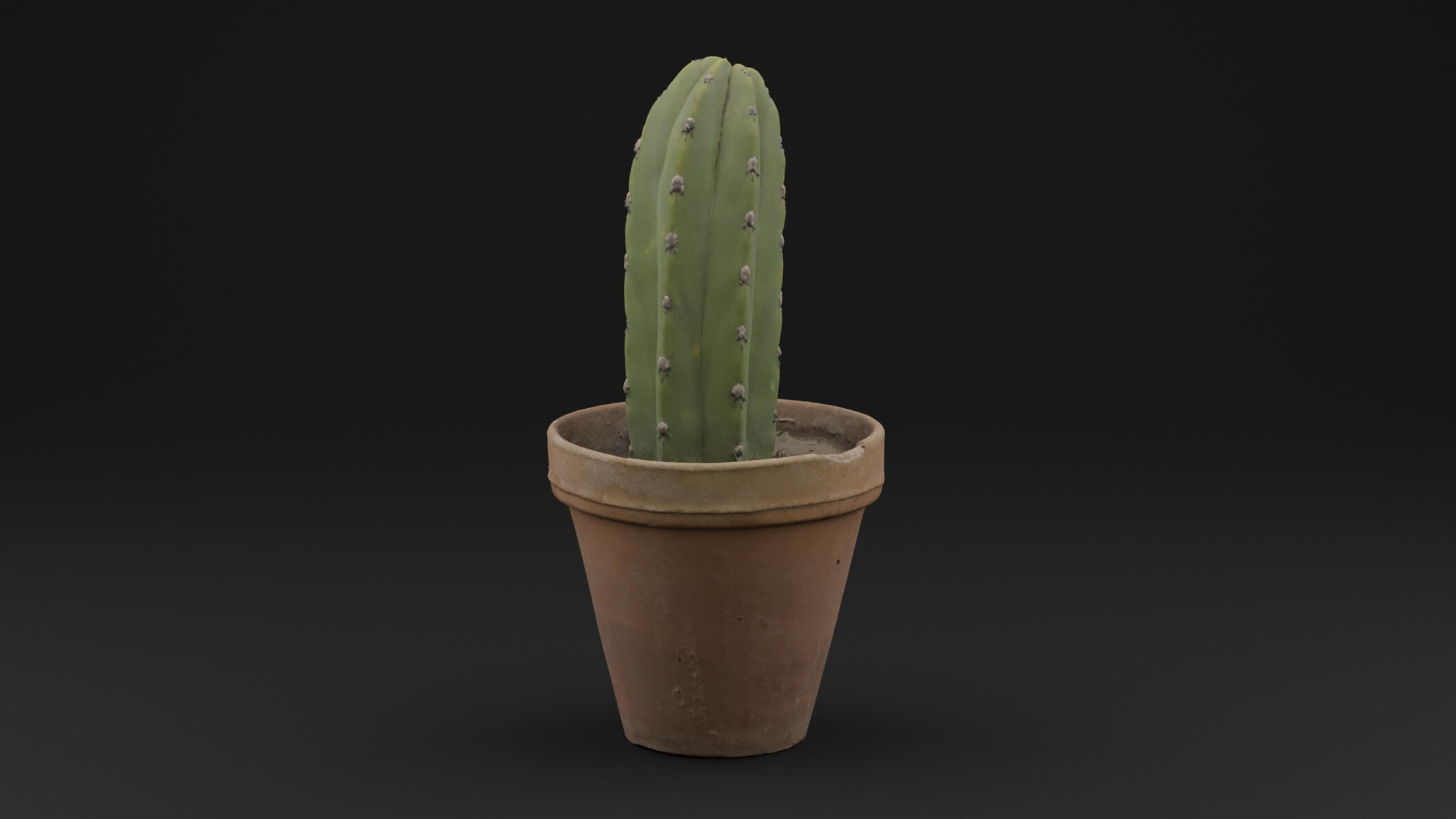 Realistic Cactus Pot - 3D Model by Green Lander